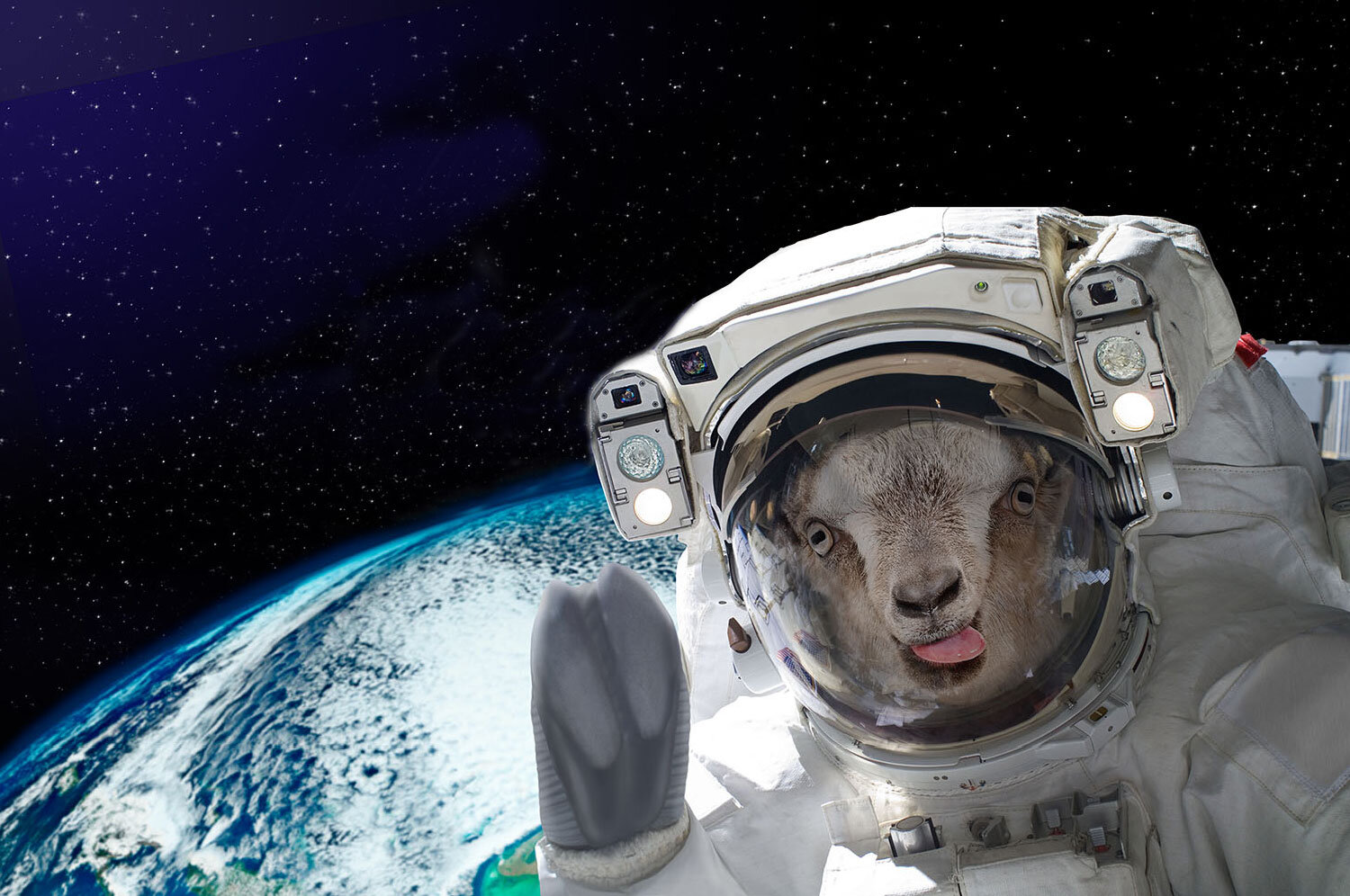 GOAT SITES | We build great websites