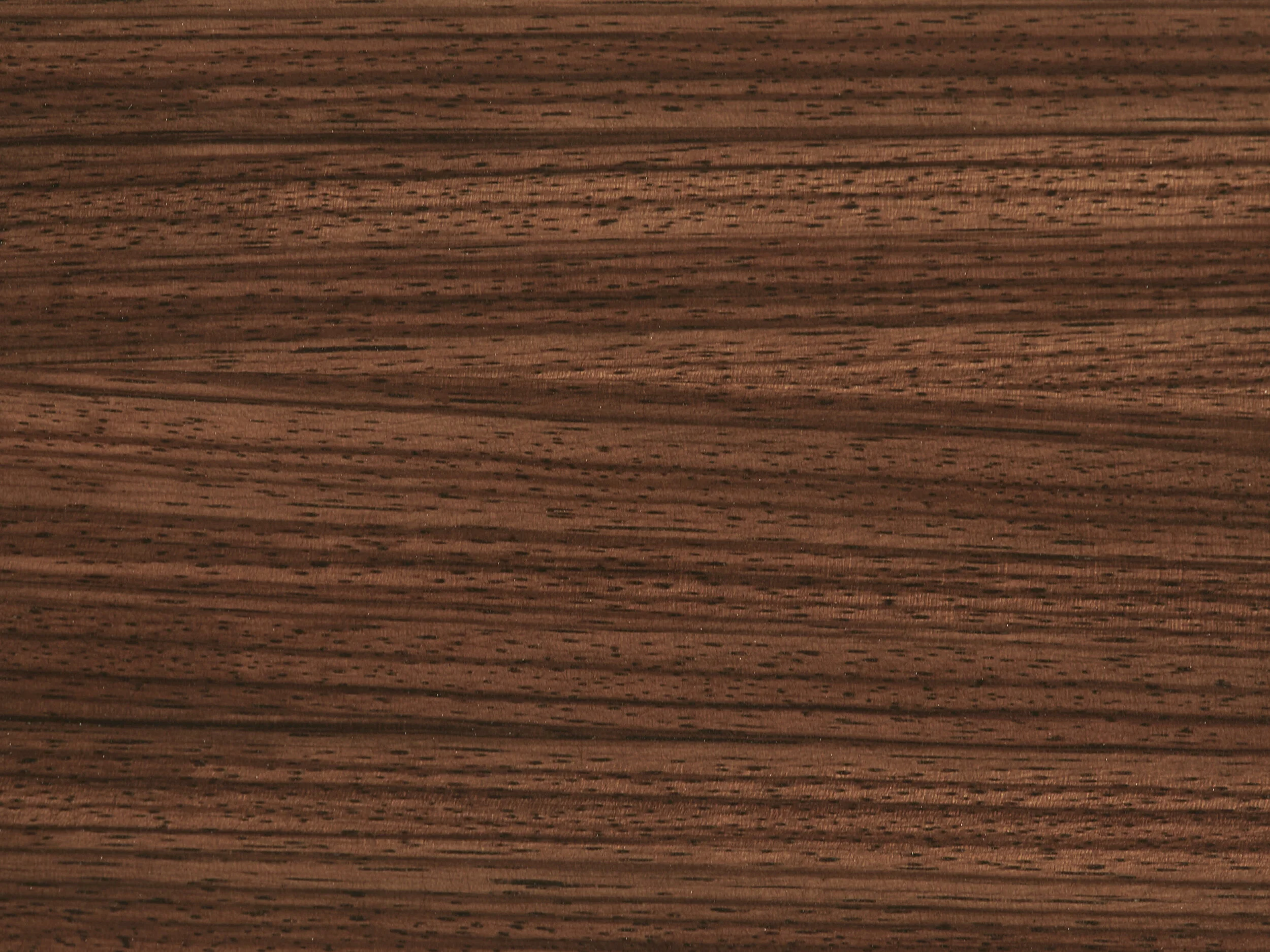 Maia Chair Product Page — Kimberly DENMAN