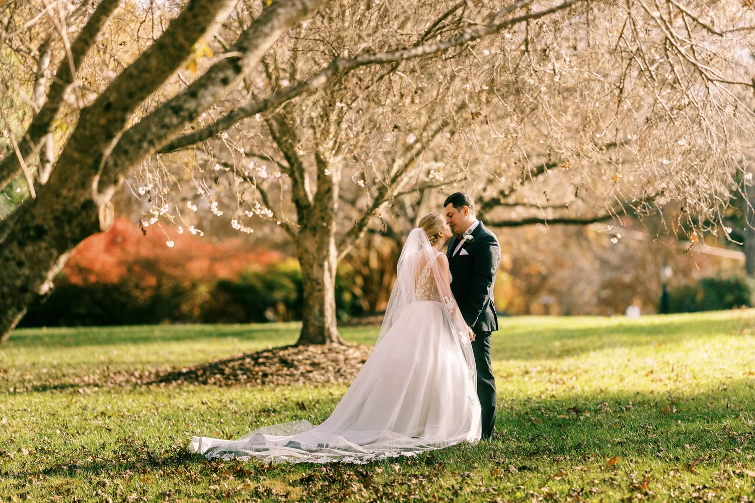 Weddings at Southern C's Farm | Outdoor Wedding Venue near Greensboro ...