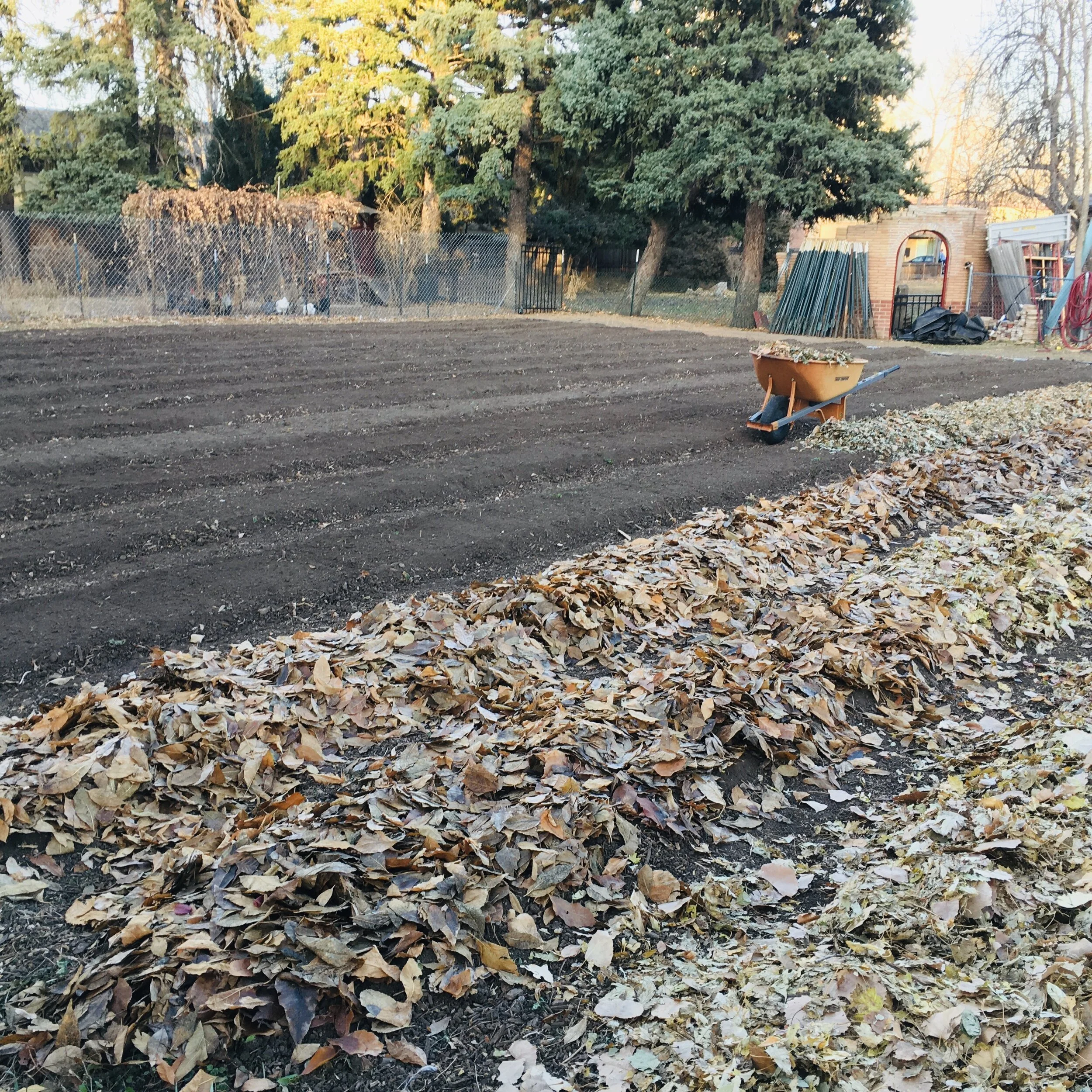 About — Paper Kite Farm