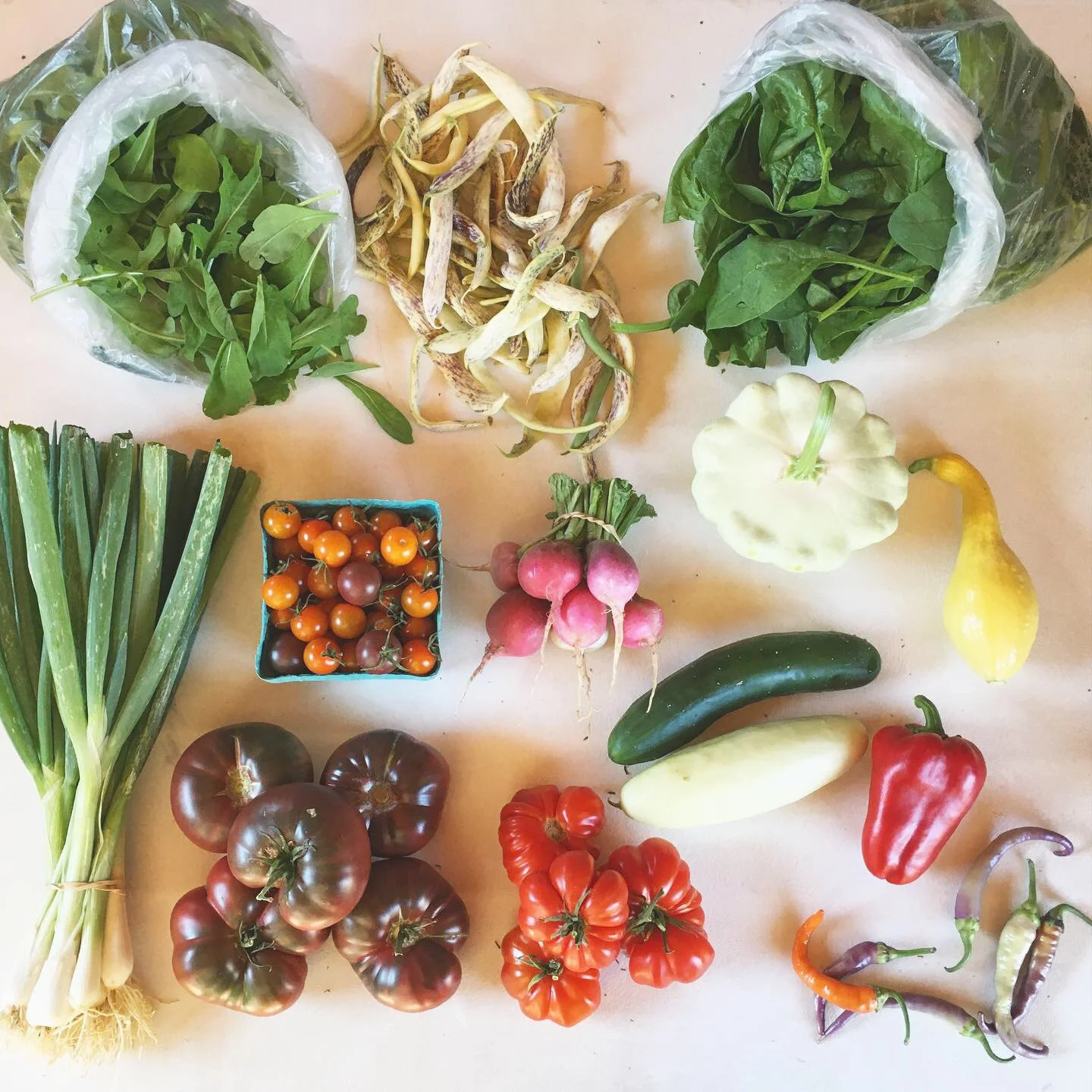 Farm Stand — Paper Kite Farm