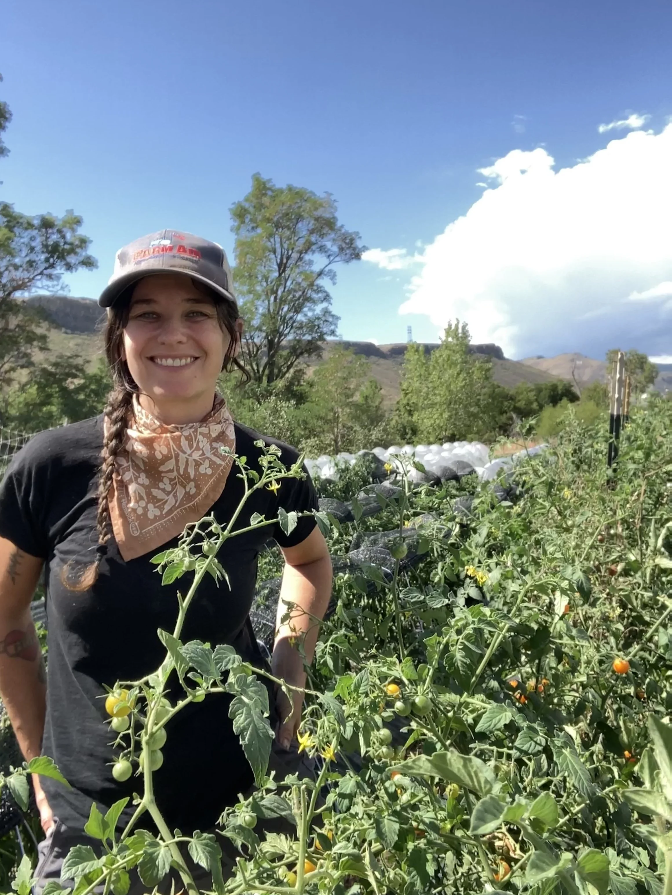 About — Paper Kite Farm