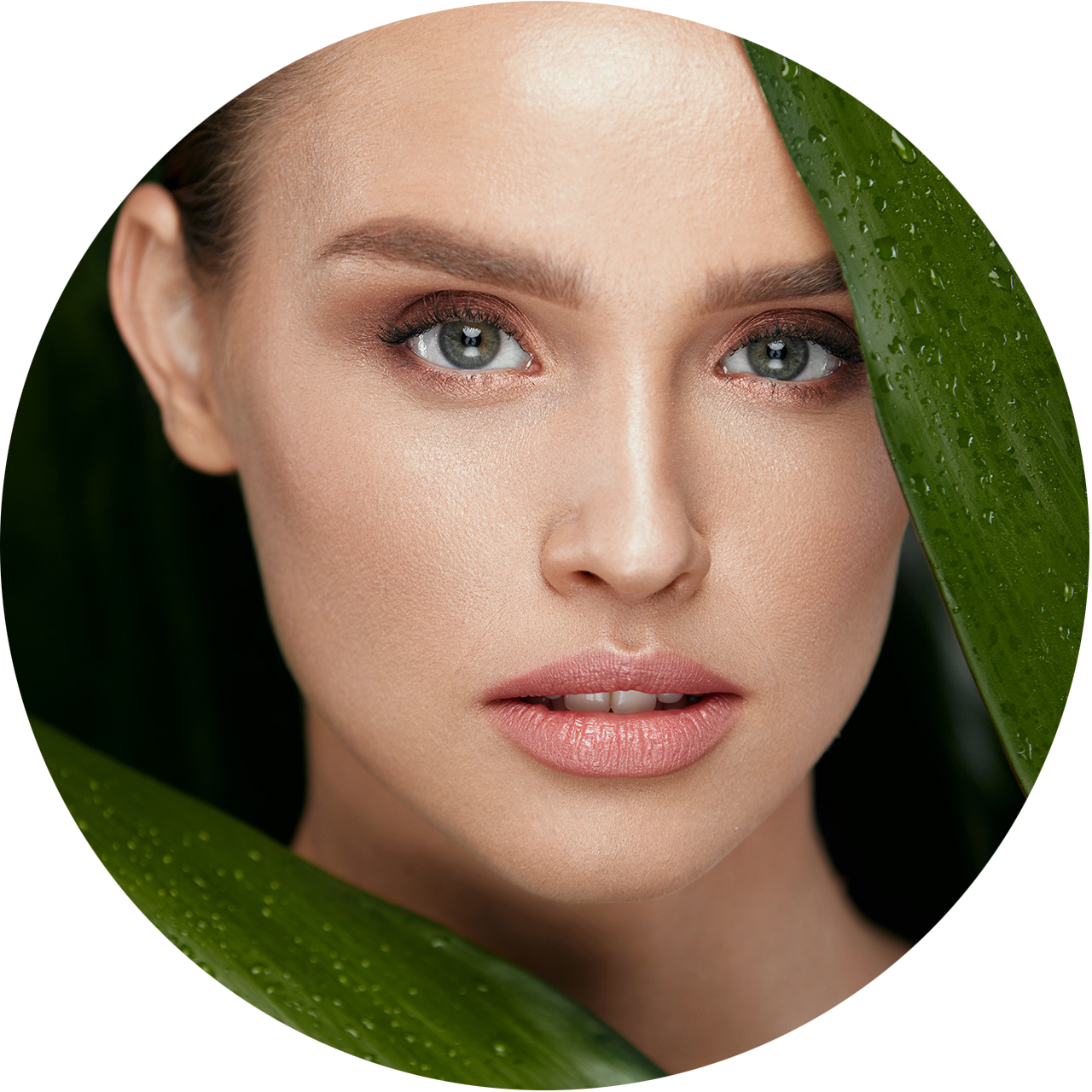 Salient Medical Solutions