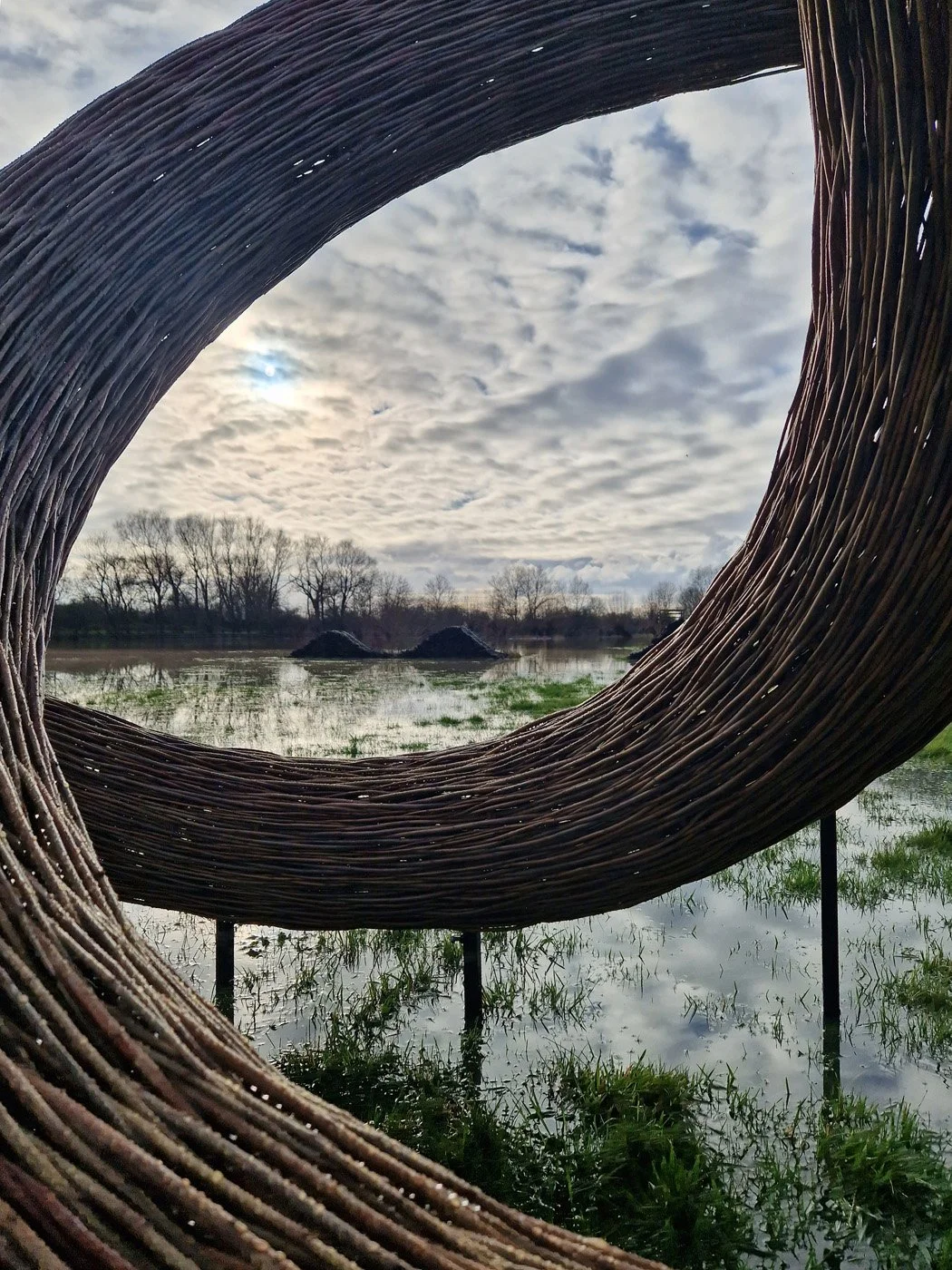 Connected — Willow Coppice