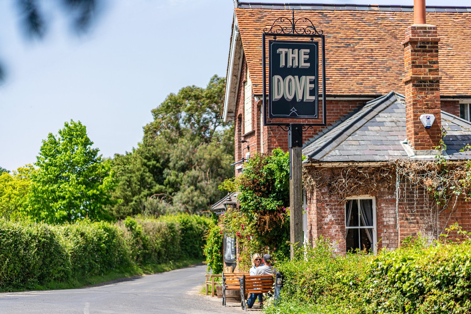 THE DOVE DARGATE