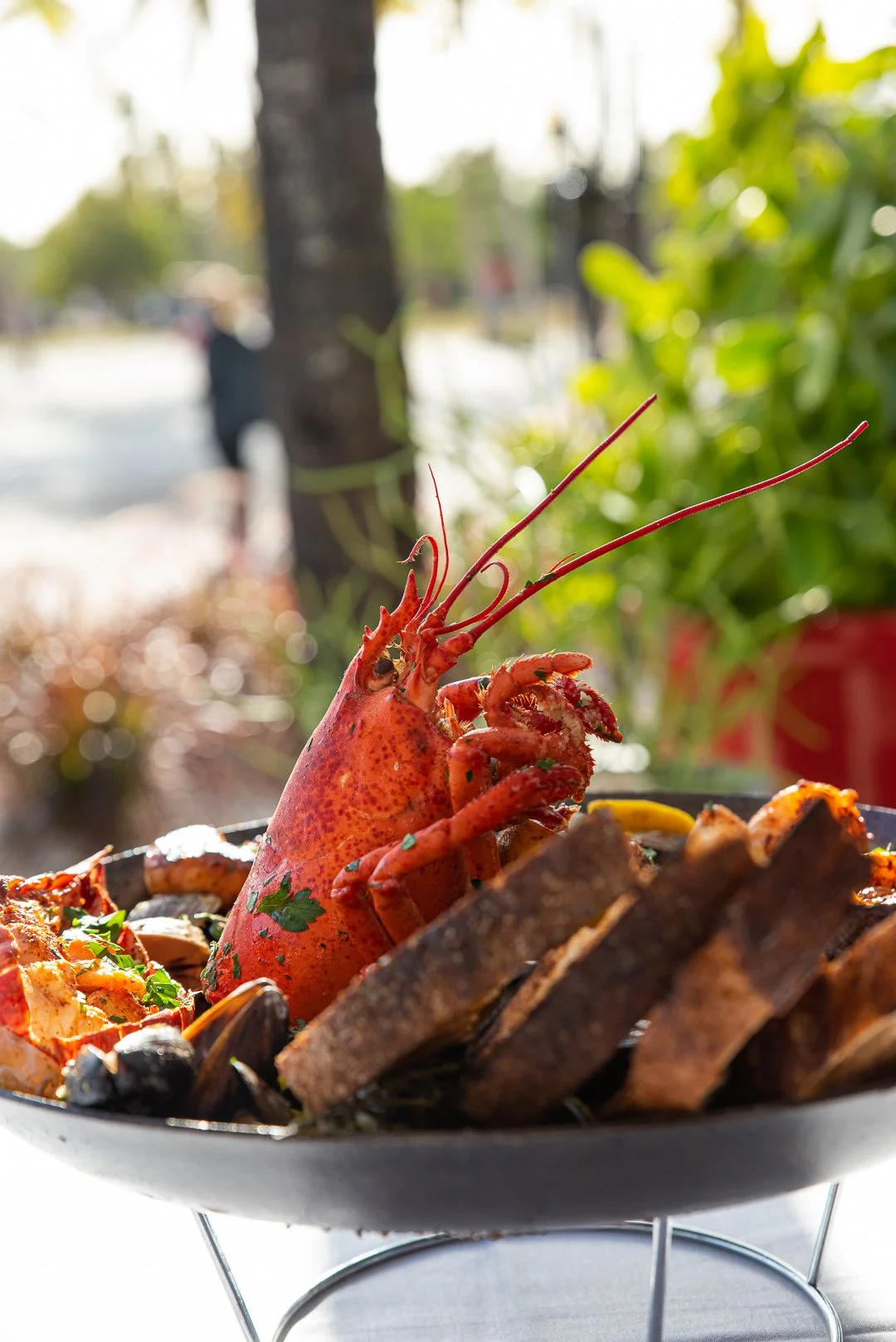 StarChefs - Chef Adrianne Calvo of Redfish by Chef Adrianne | Miami