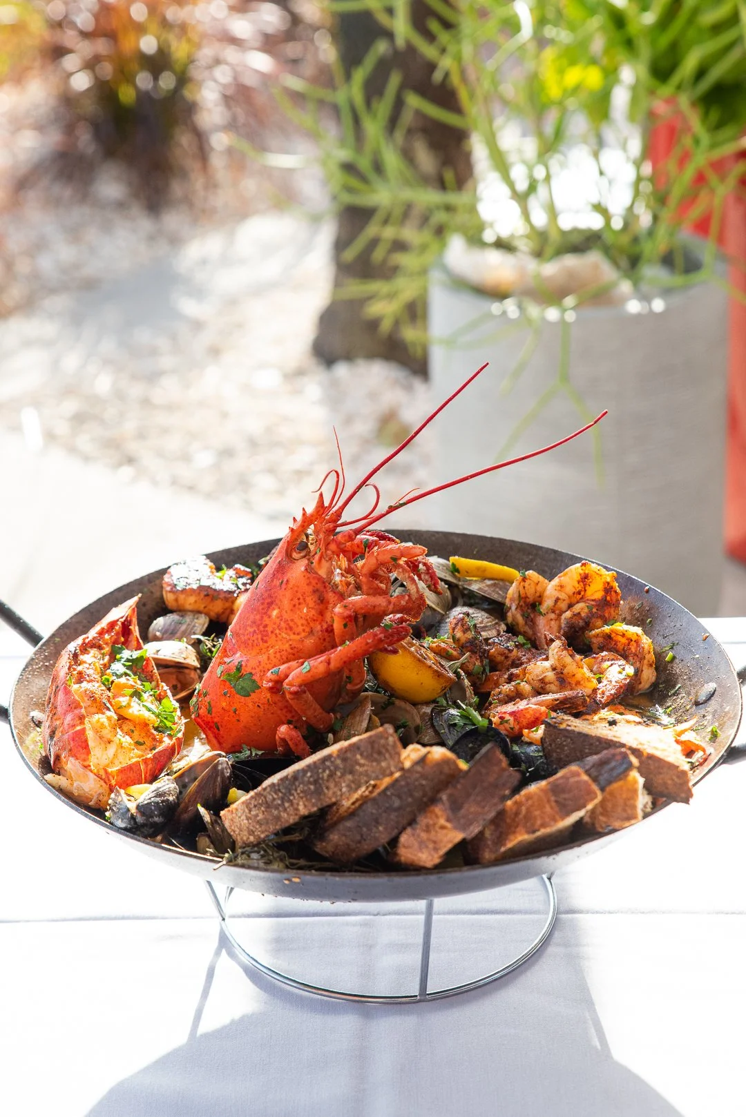 StarChefs - Chef Adrianne Calvo of Redfish by Chef Adrianne | Miami