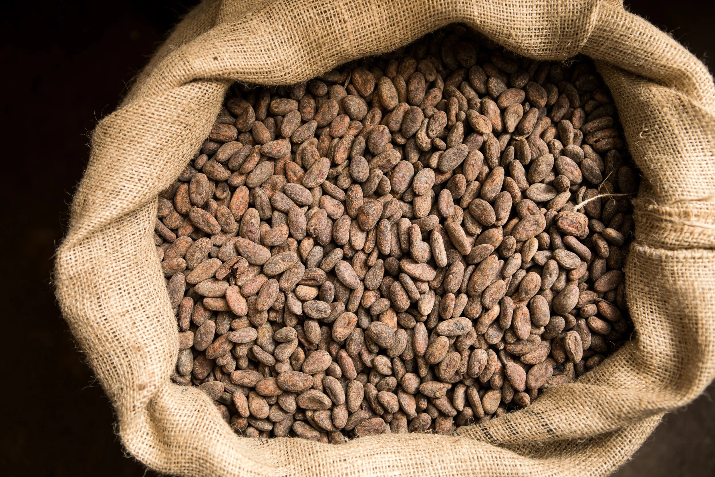 StarChefs - Chocolatiers Elaine Read and Matt Weyandt of Xocolatl Small ...