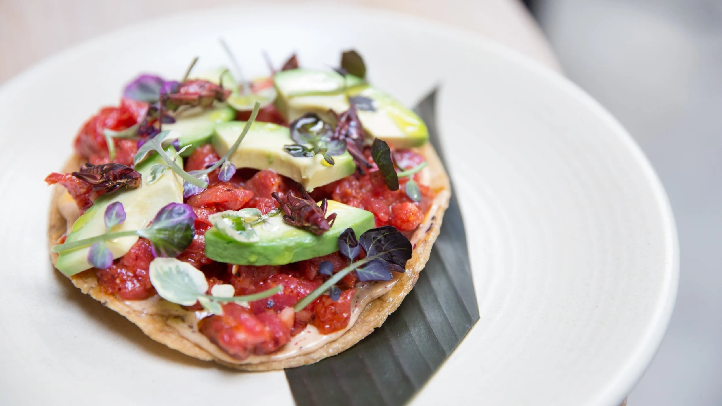 StarChefs - Tartare Tostada | Chef Matt Conroy of Oxomoco