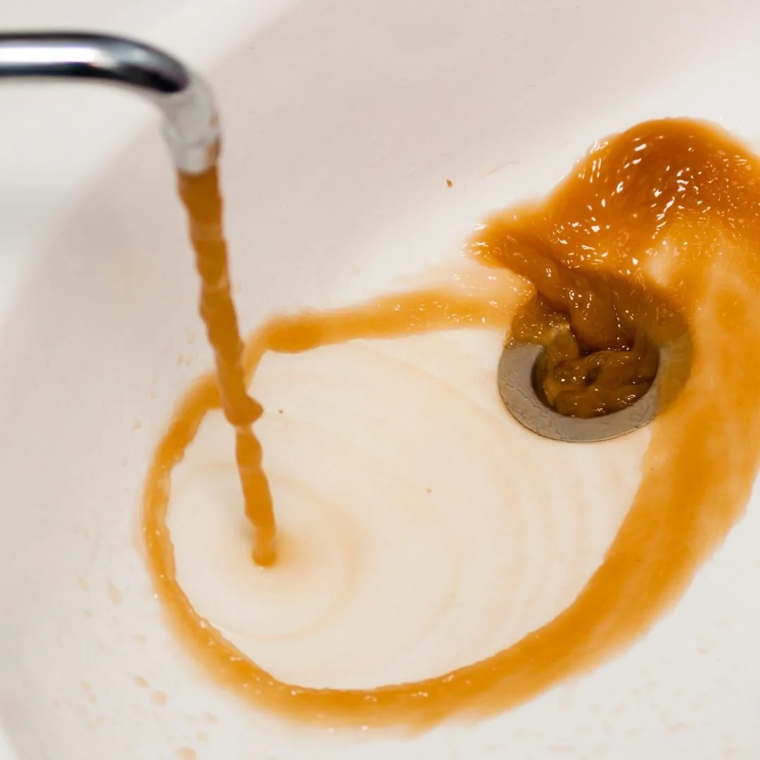 How to Deal with Iron Bacteria in Your Well Water — Epp Well Solutions