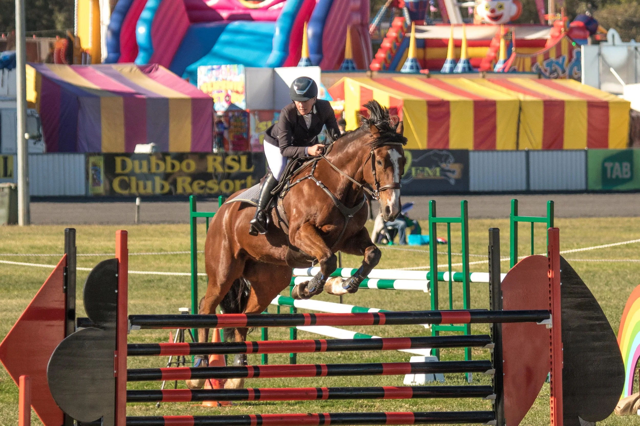 Section B - Show Jumping — Dubbo Show Society