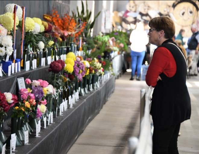 Section S - Flowers — Dubbo Show Society