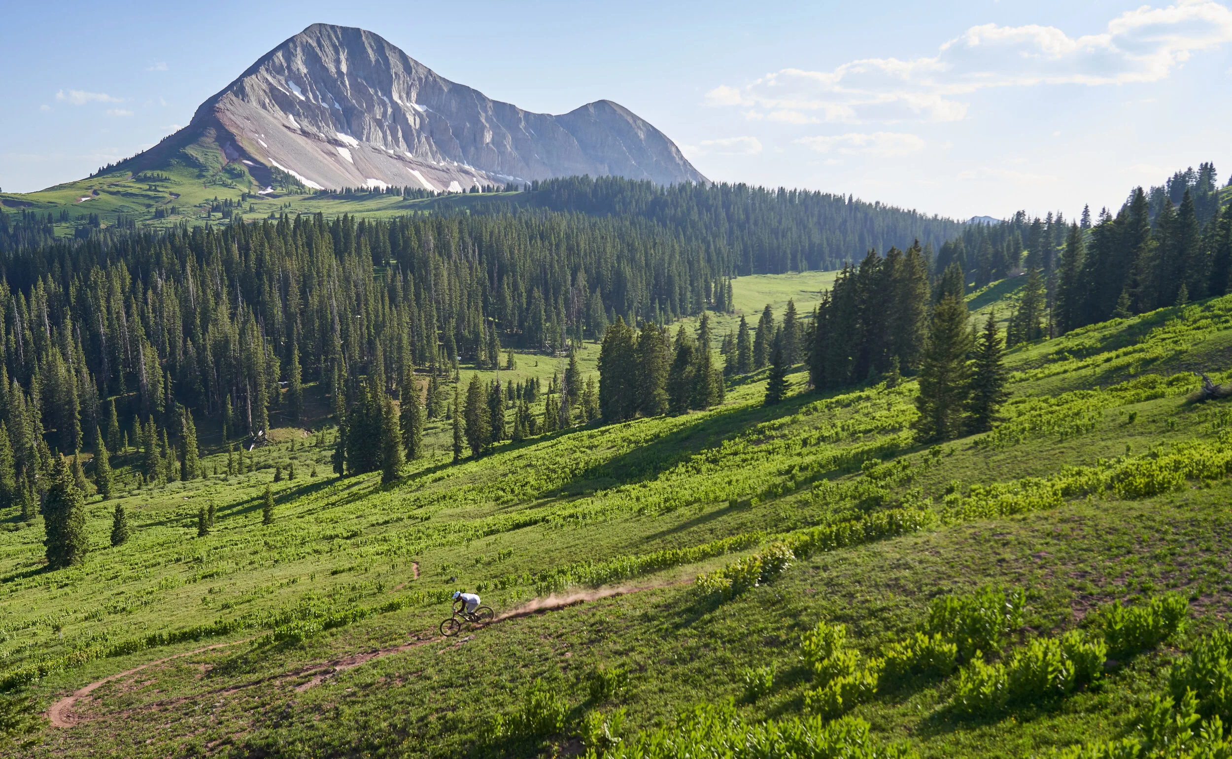 Drew Bennett Productions