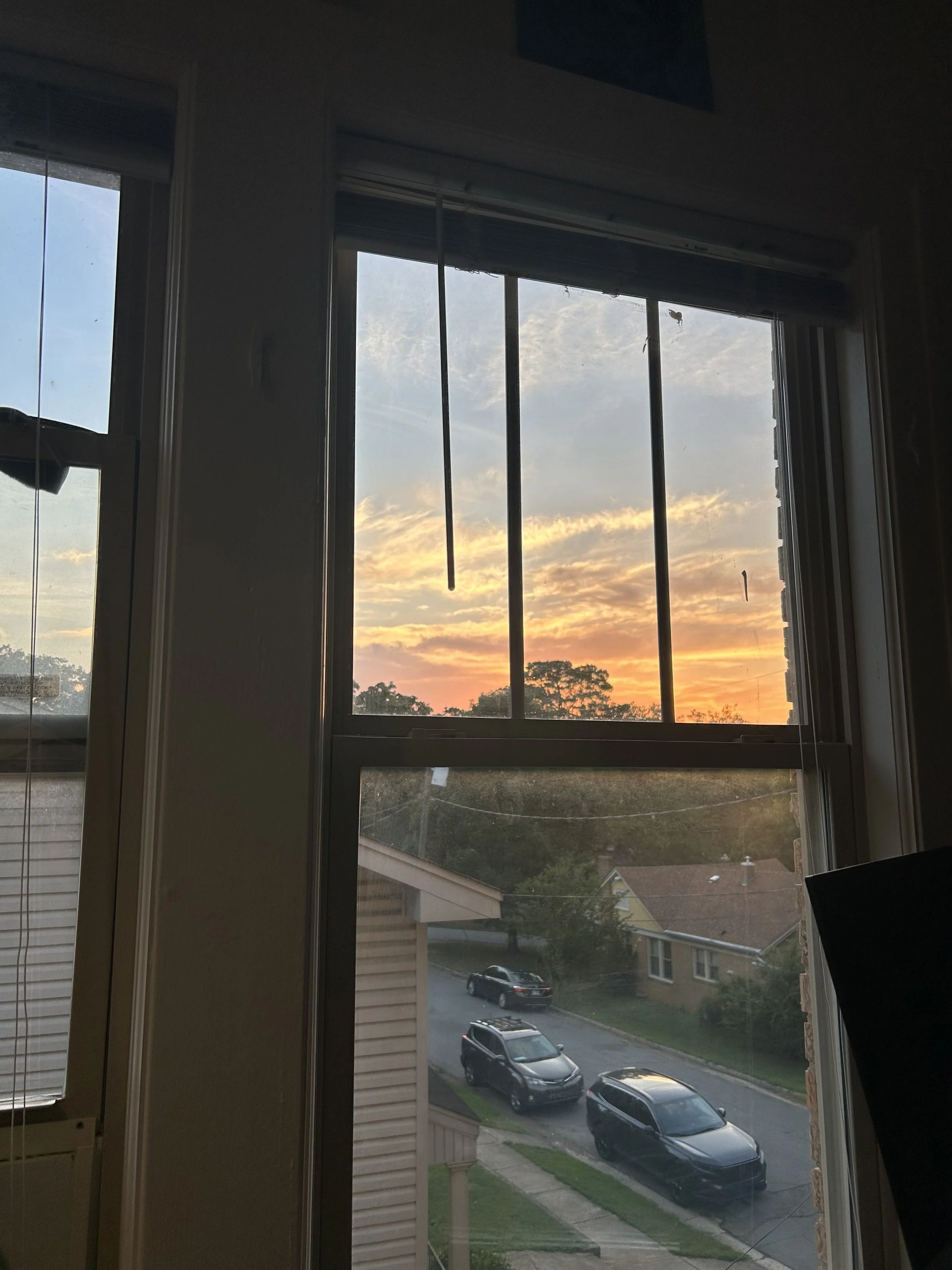 2023 Year in Review — Molly Shirrell Art