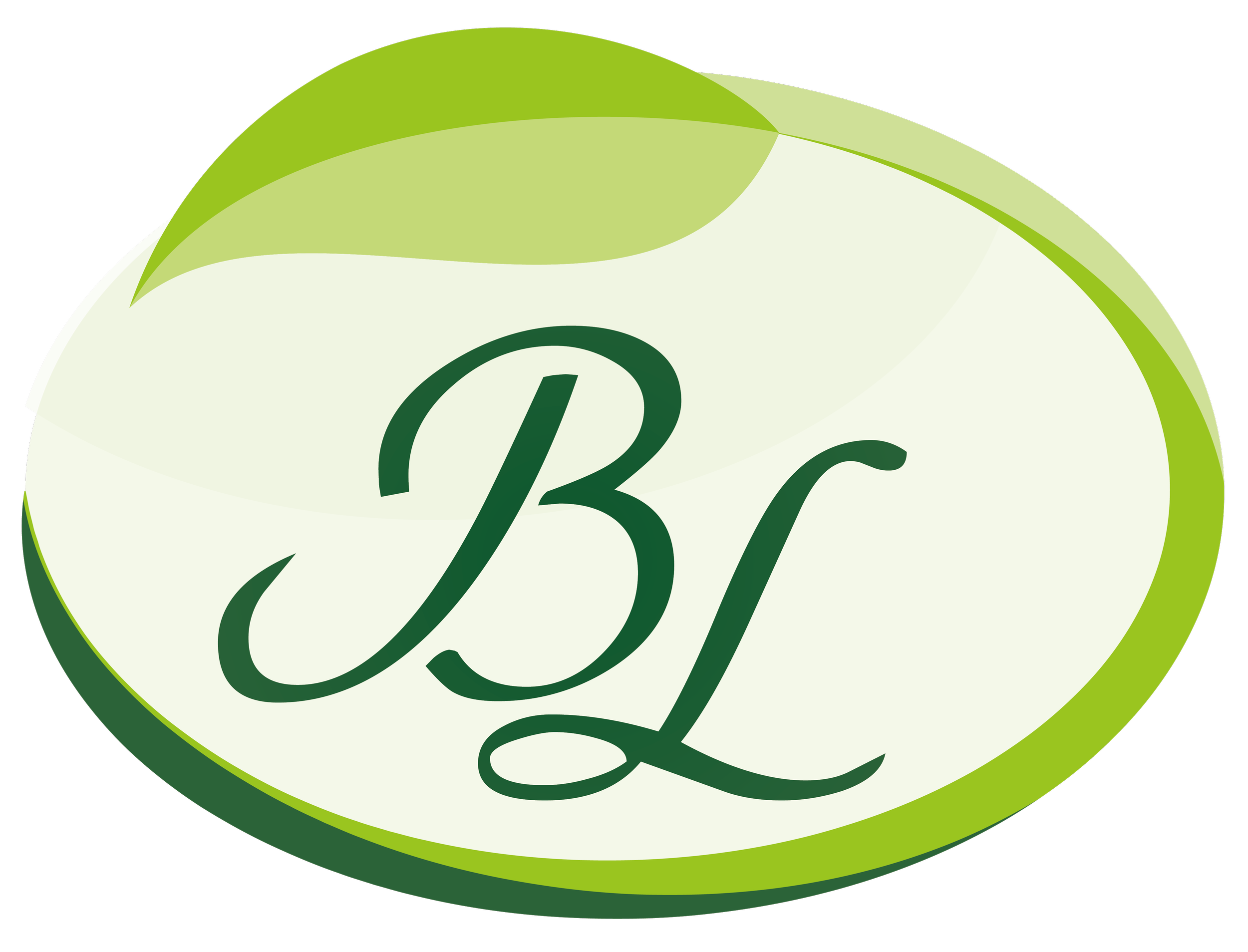 Hojas de Seguridad — Representaciones BL