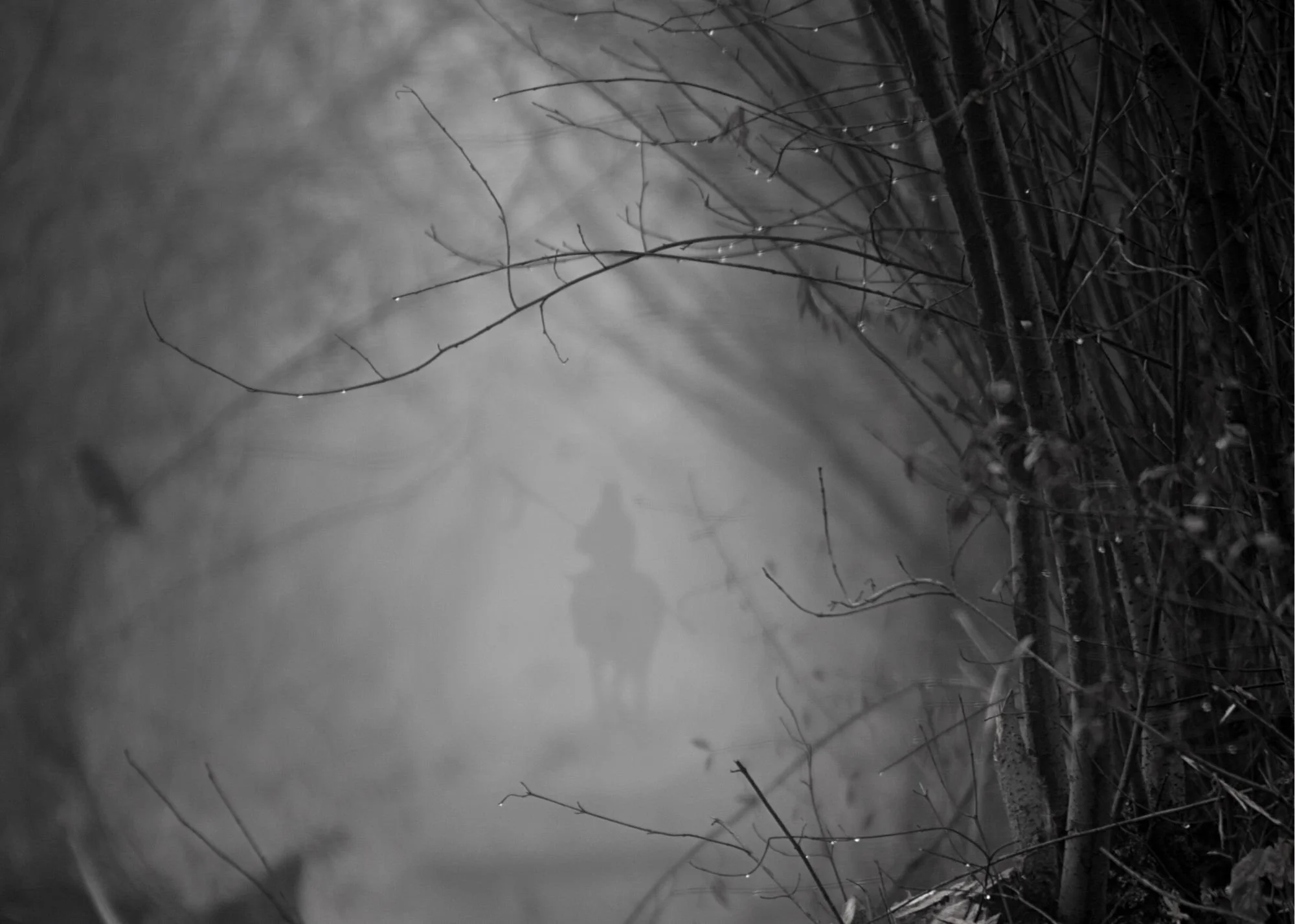 Issue 3 - Something Spooky 2021 — mythos