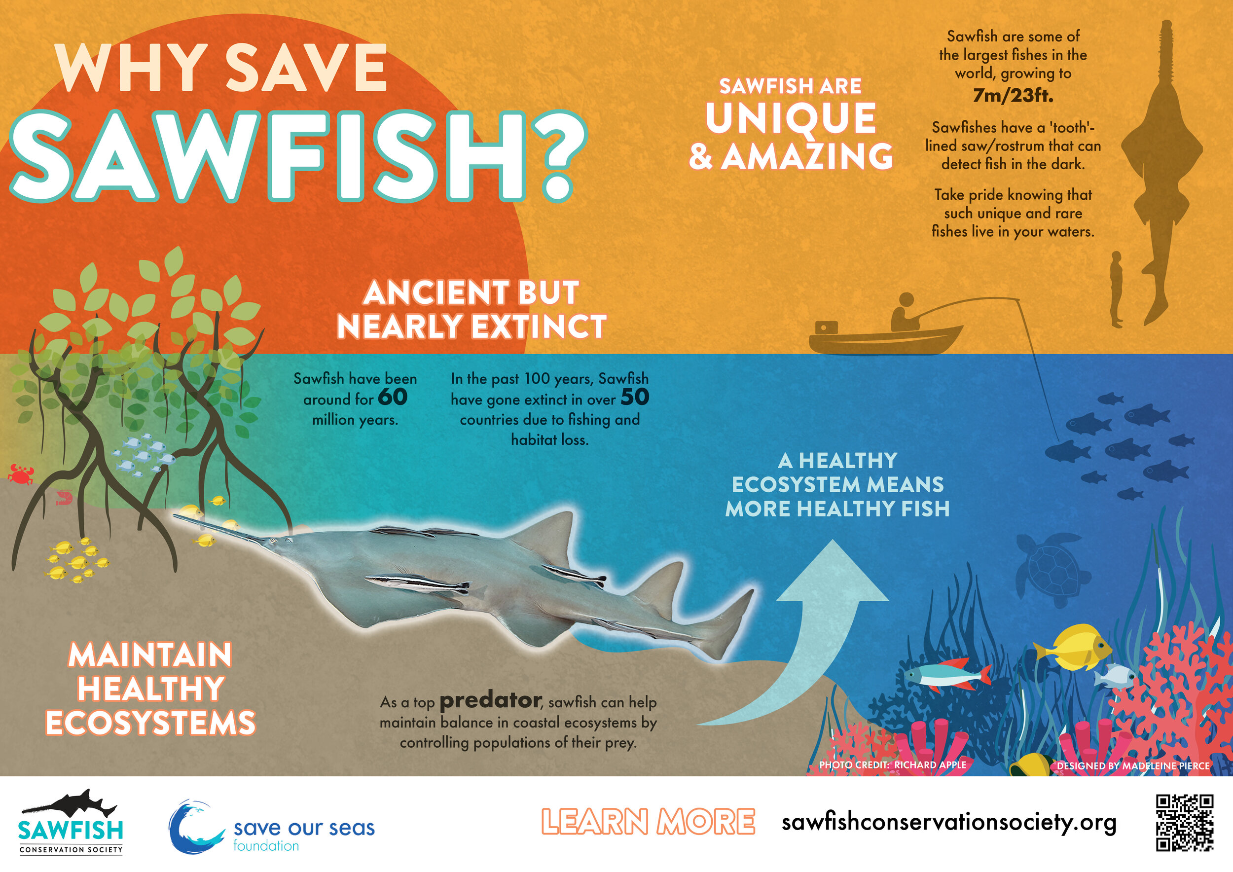 International Sawfish Day — Sawfish Conservation Society