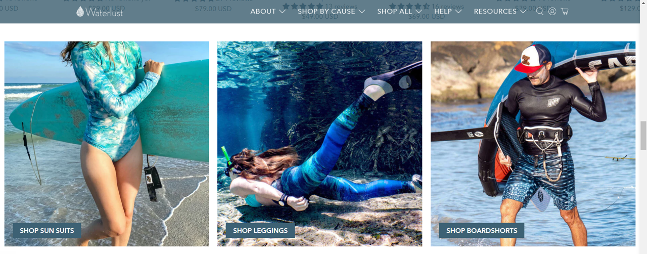 Support SCS — Sawfish Conservation Society