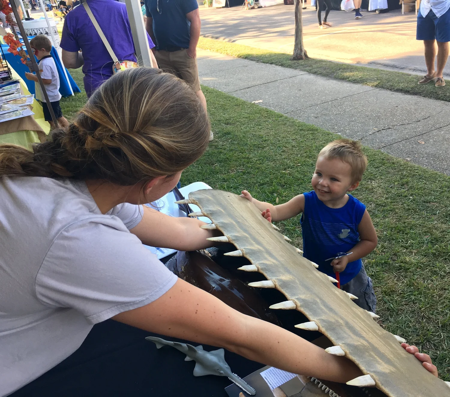 Sawfish Conservation Society