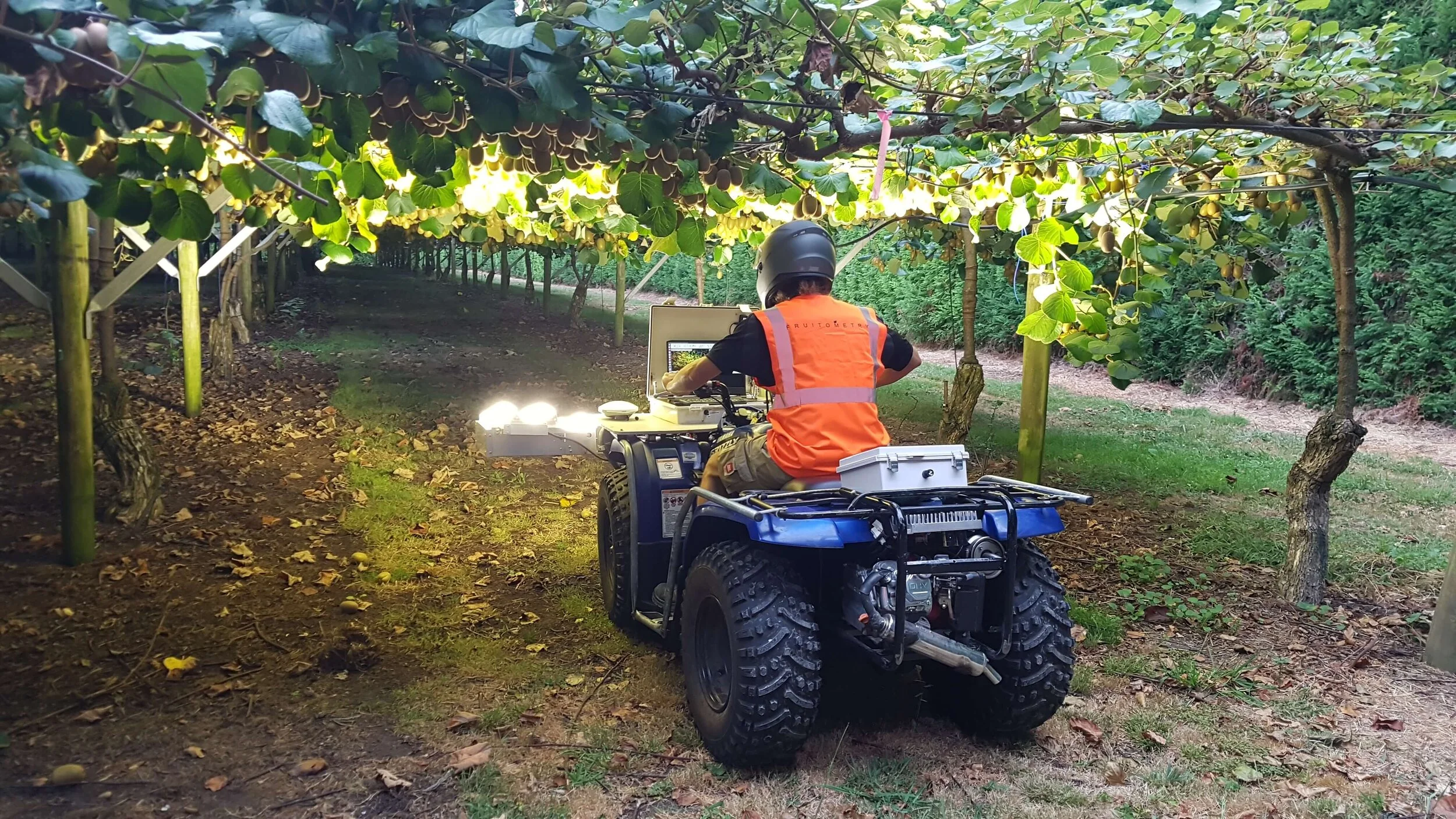 Fruitometry - Orchard Scanning & Analytics