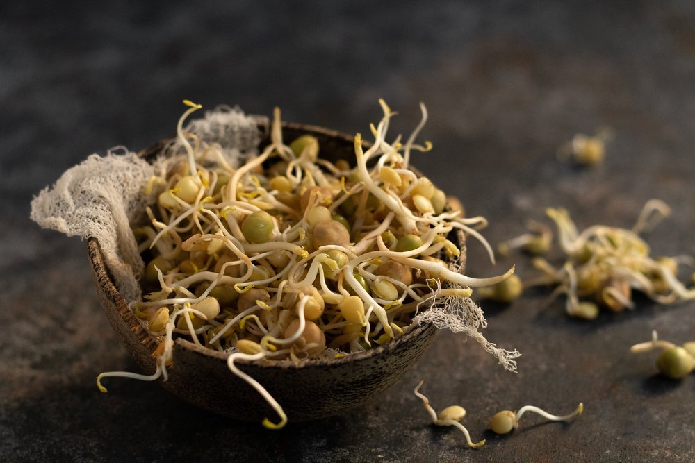 Mixed Bean Sprouts | CREATIVE PHEBE