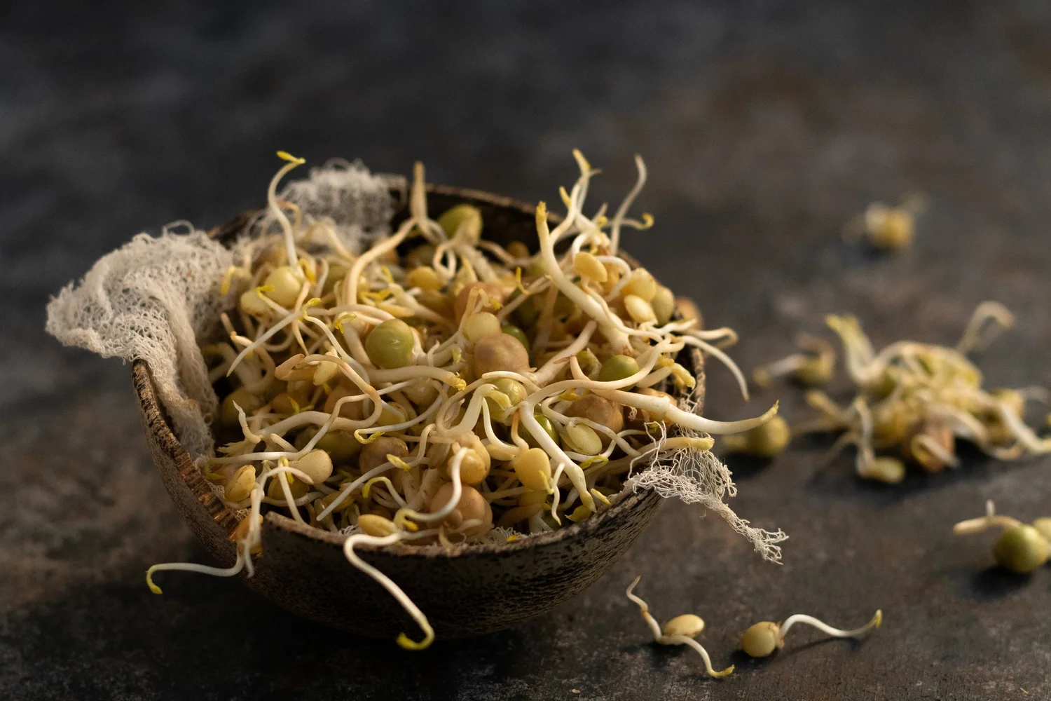 Mixed Bean Sprouts | CREATIVE PHEBE