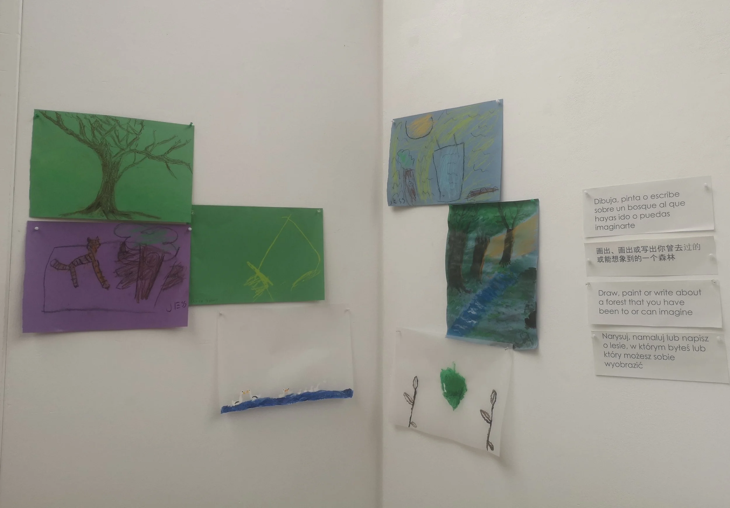 Forest Bound — Tamsin Grainger