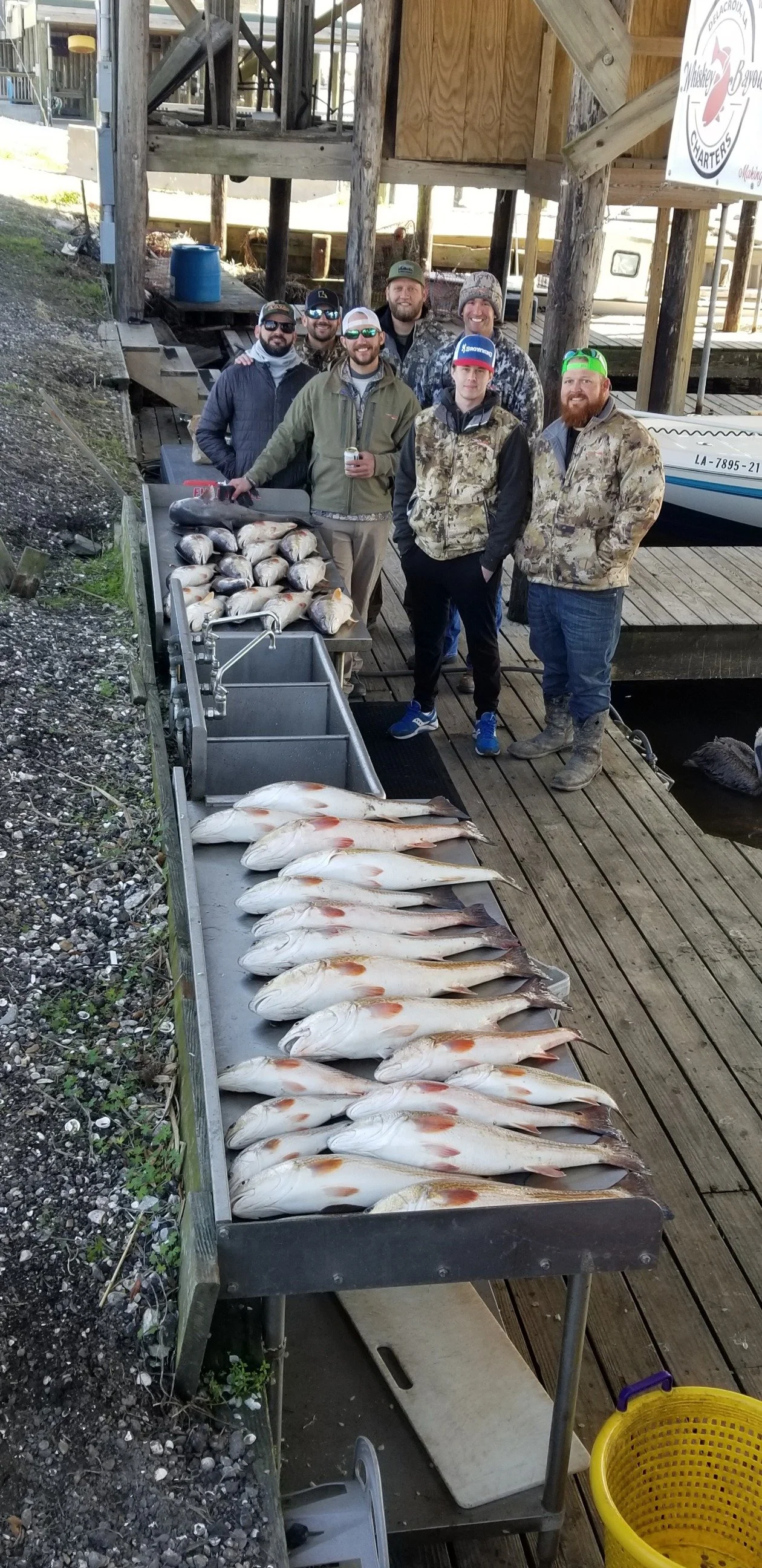 About — Paloma Lake