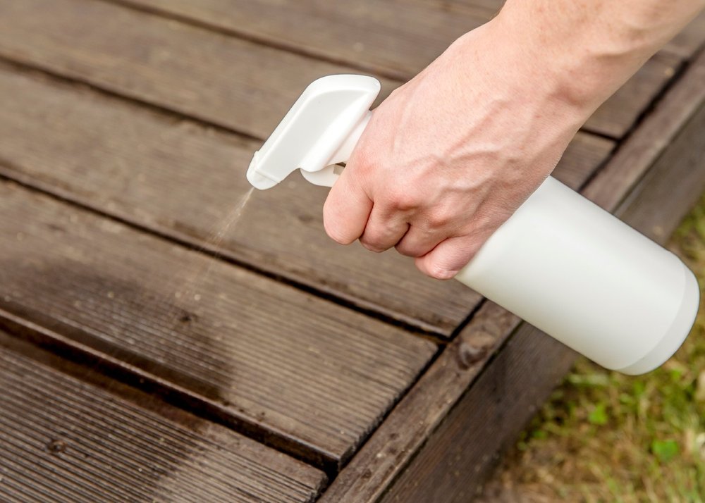 Homemade Fire Ant Killer: Do 11 Popular Home Remedies Kill Ants ...