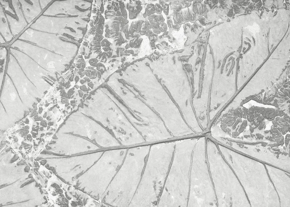 9 Popular Stamped Concrete Patterns — Boots On Enterprises