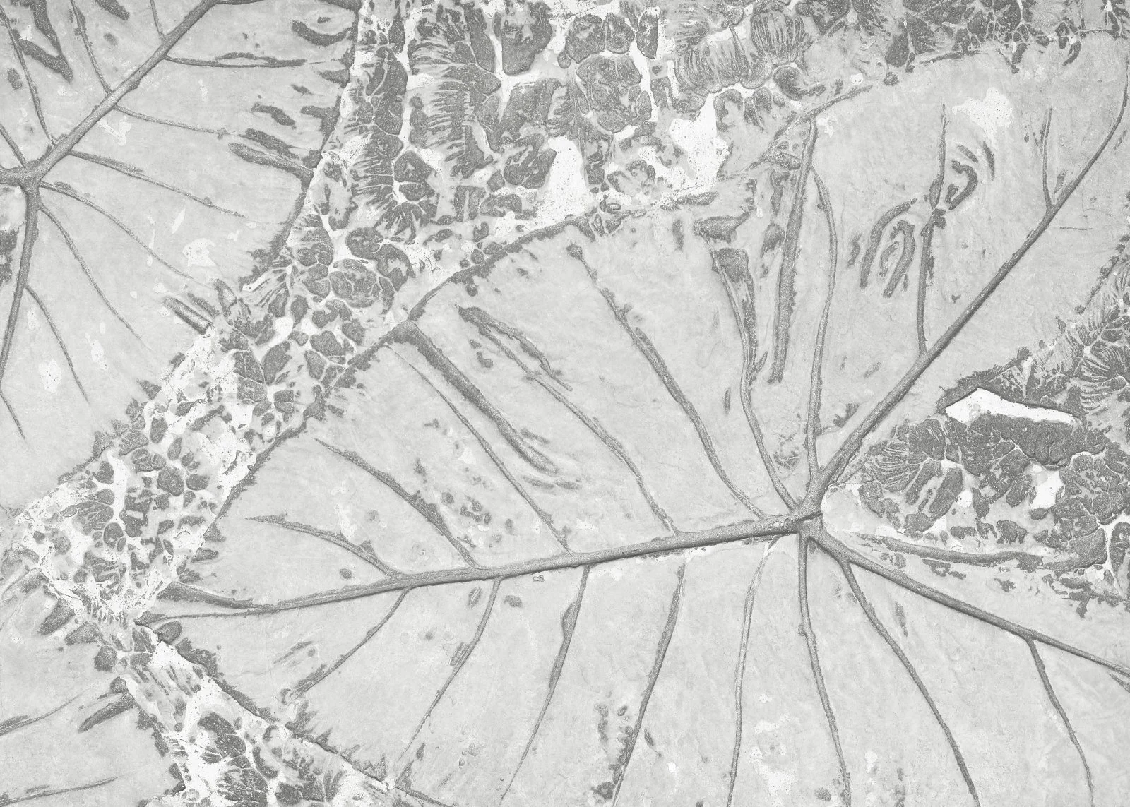 9 Popular Stamped Concrete Patterns — Boots On Enterprises