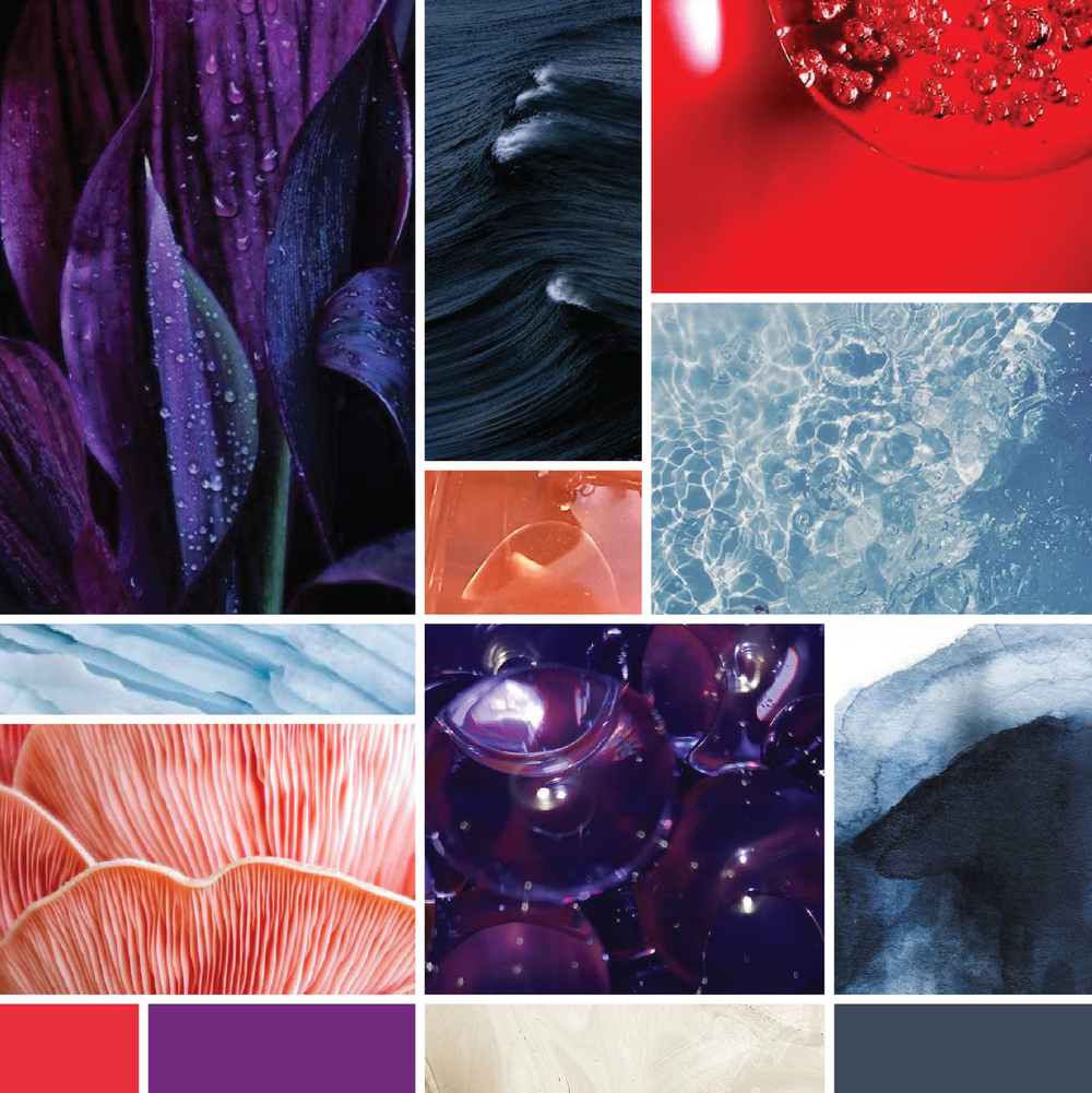 Pompa Co, Dr. Pompa, Pompa Program, Health Centers, and Cellular ...