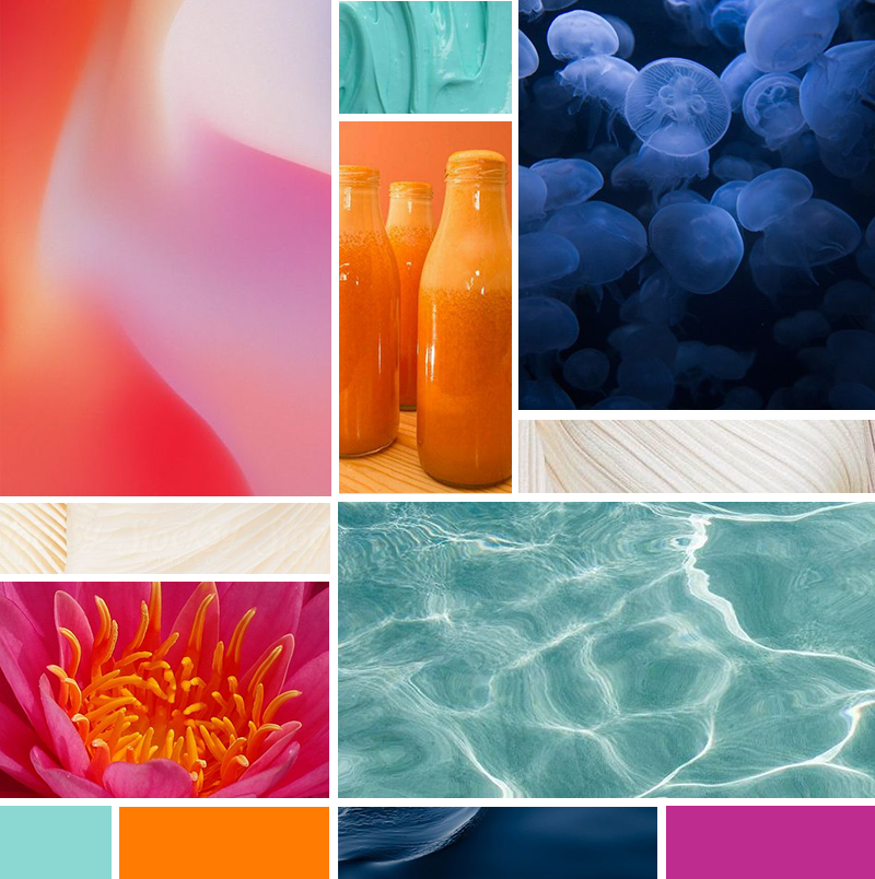 Modern Caregiving Solutions and MyHuddle App Branding — Lab Creative