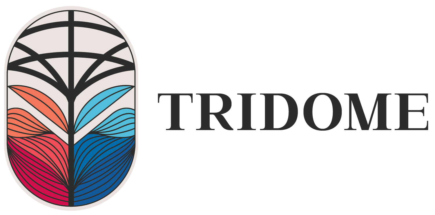 Tridome Studios and Tridome Structures branding — Lab Creative