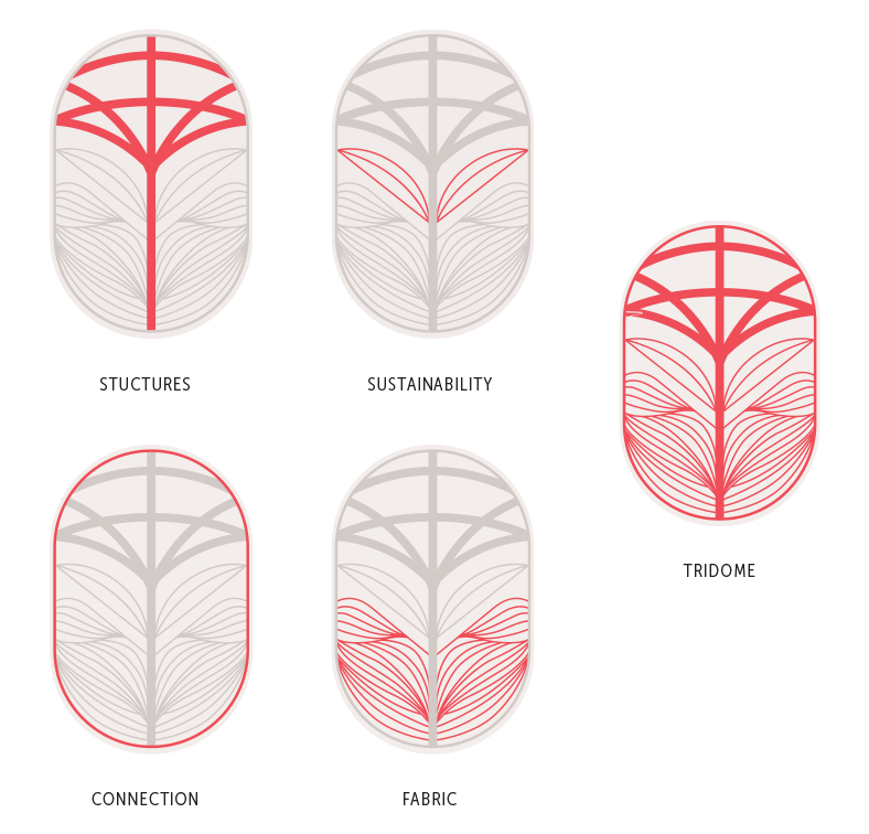 Tridome Studios and Tridome Structures branding — Lab Creative