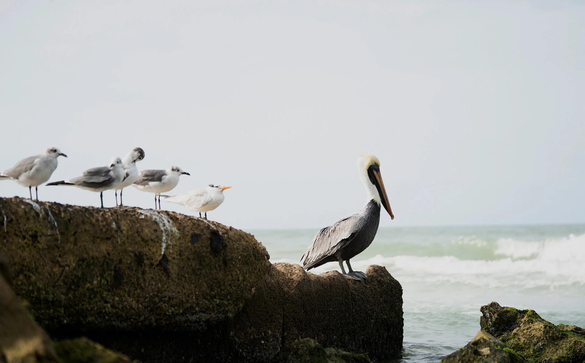 Hunters Point Resort & Marina