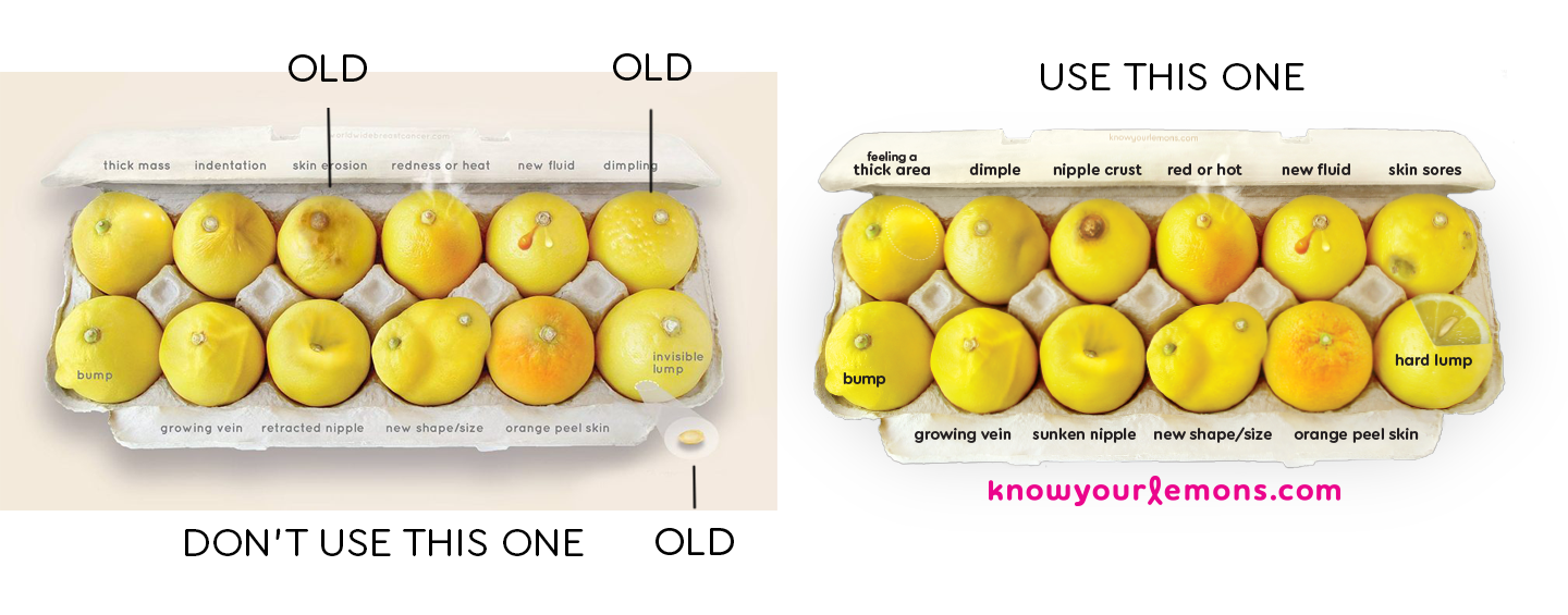 Using Know Your Lemons — Know Your Lemons Foundation