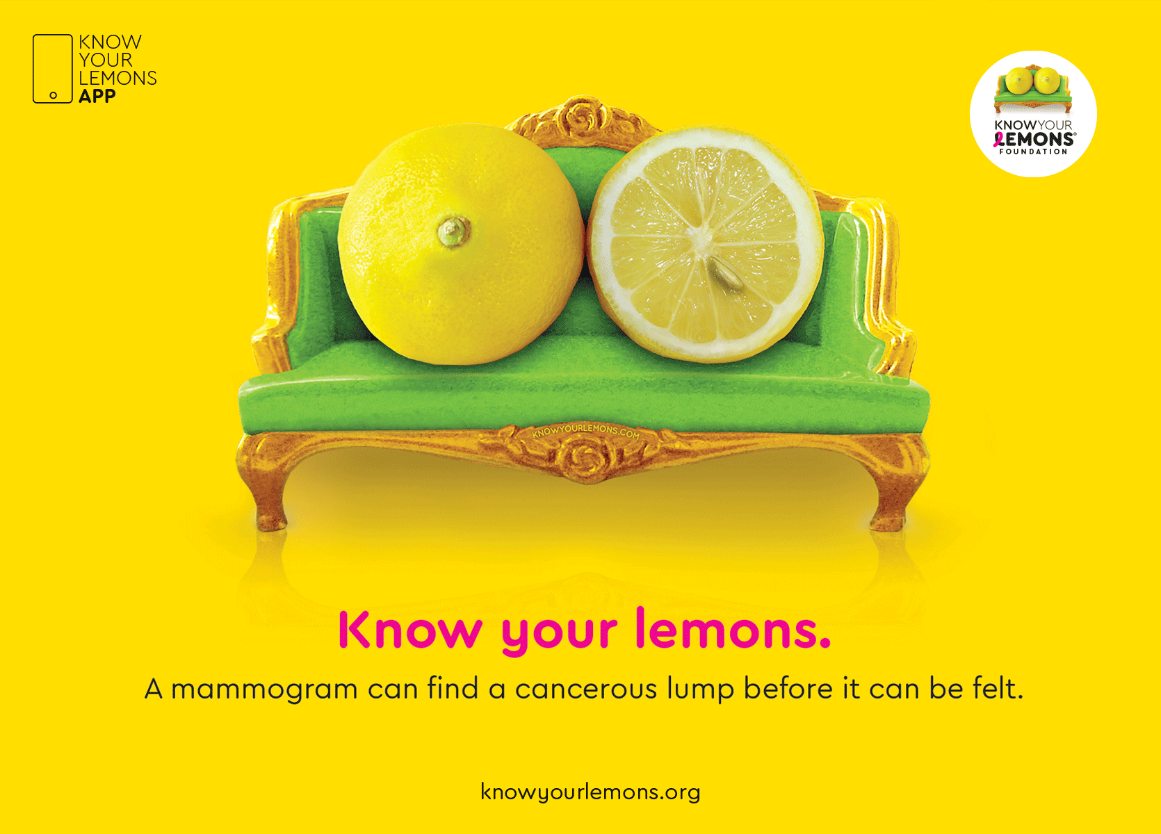 Know Your Lemons Foundation