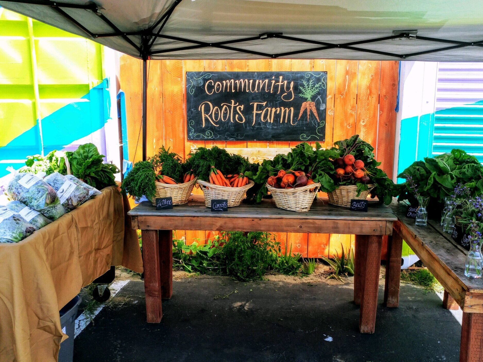 Community Roots Farm