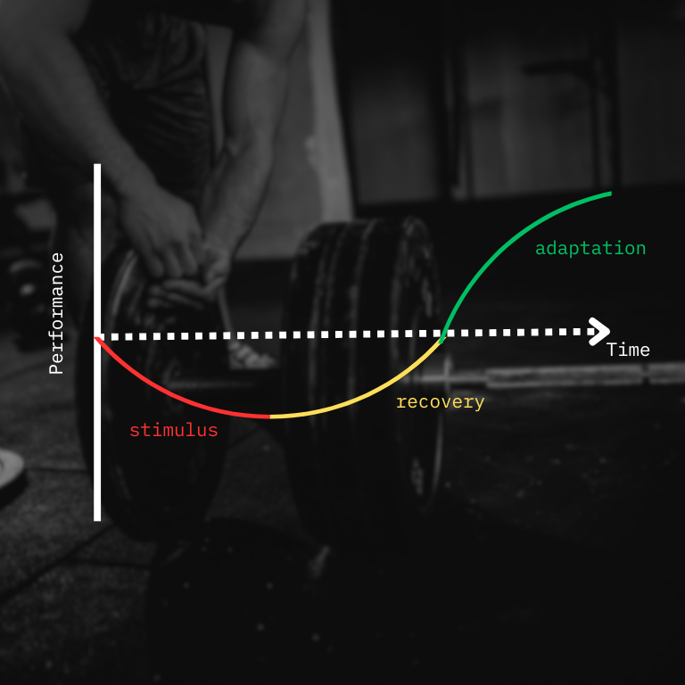 The SRA Principle and How to Apply It Anywhere — The Training Log