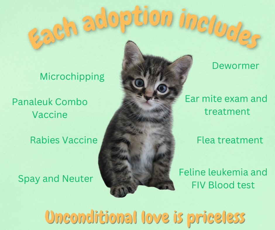 Contact us — Kitty Cove Rescue