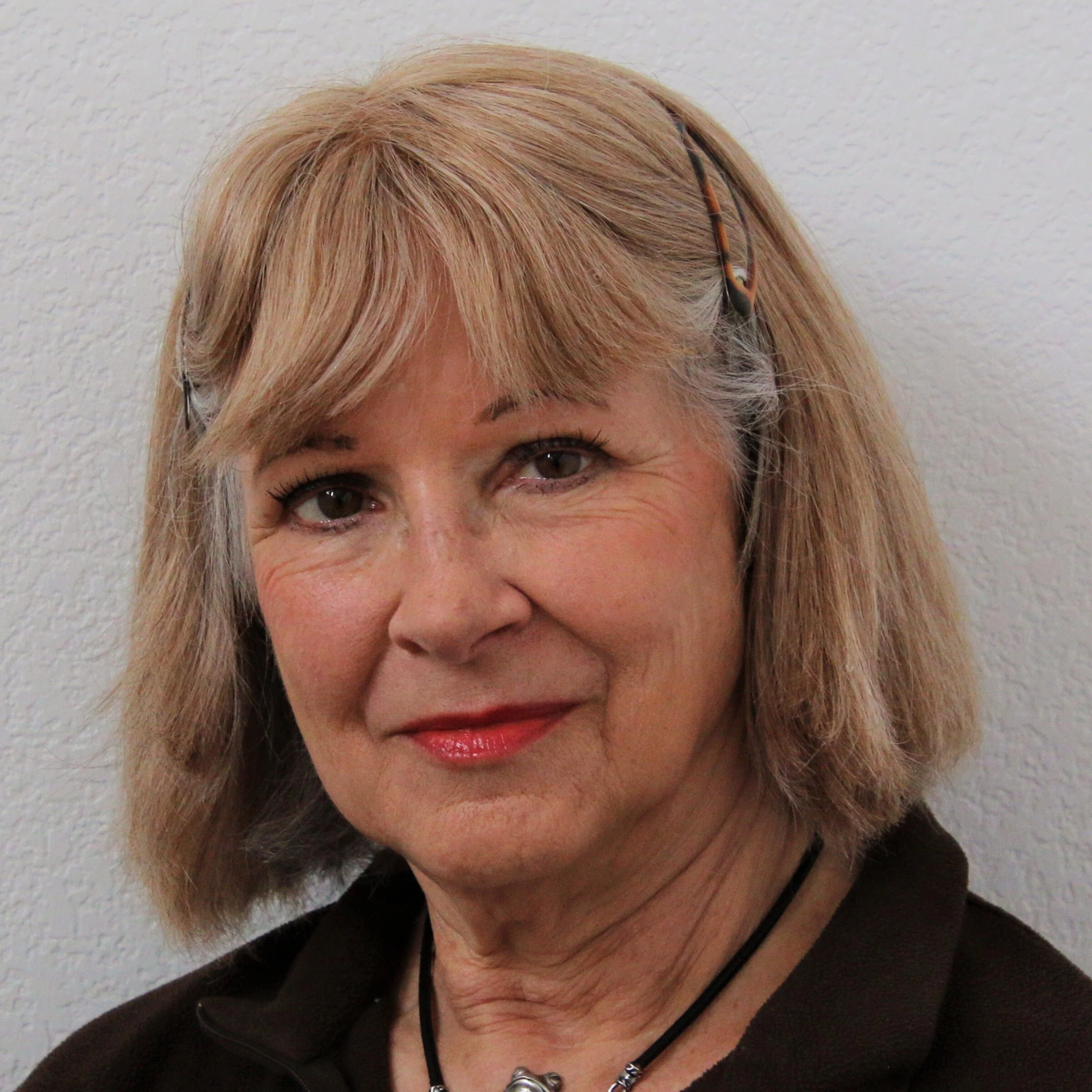 Loveland High Plains Arts Council - An Artist's Perspective