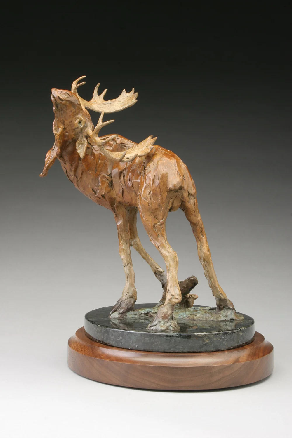 Loveland High Plains Arts Council - 2021 Artists: Lorri Acott