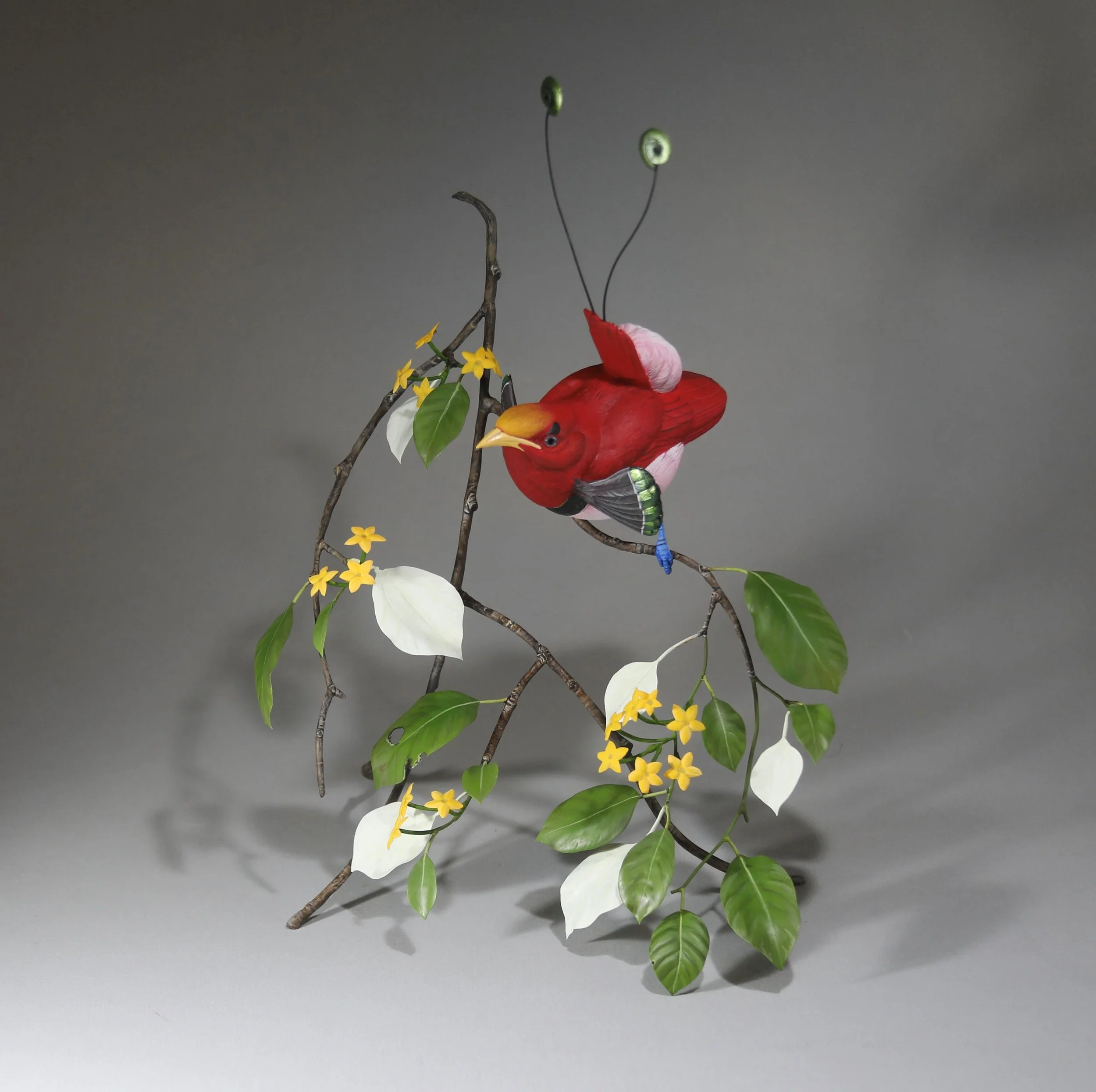 Loveland High Plains Arts Council - 2021 Artists: Lorri Acott