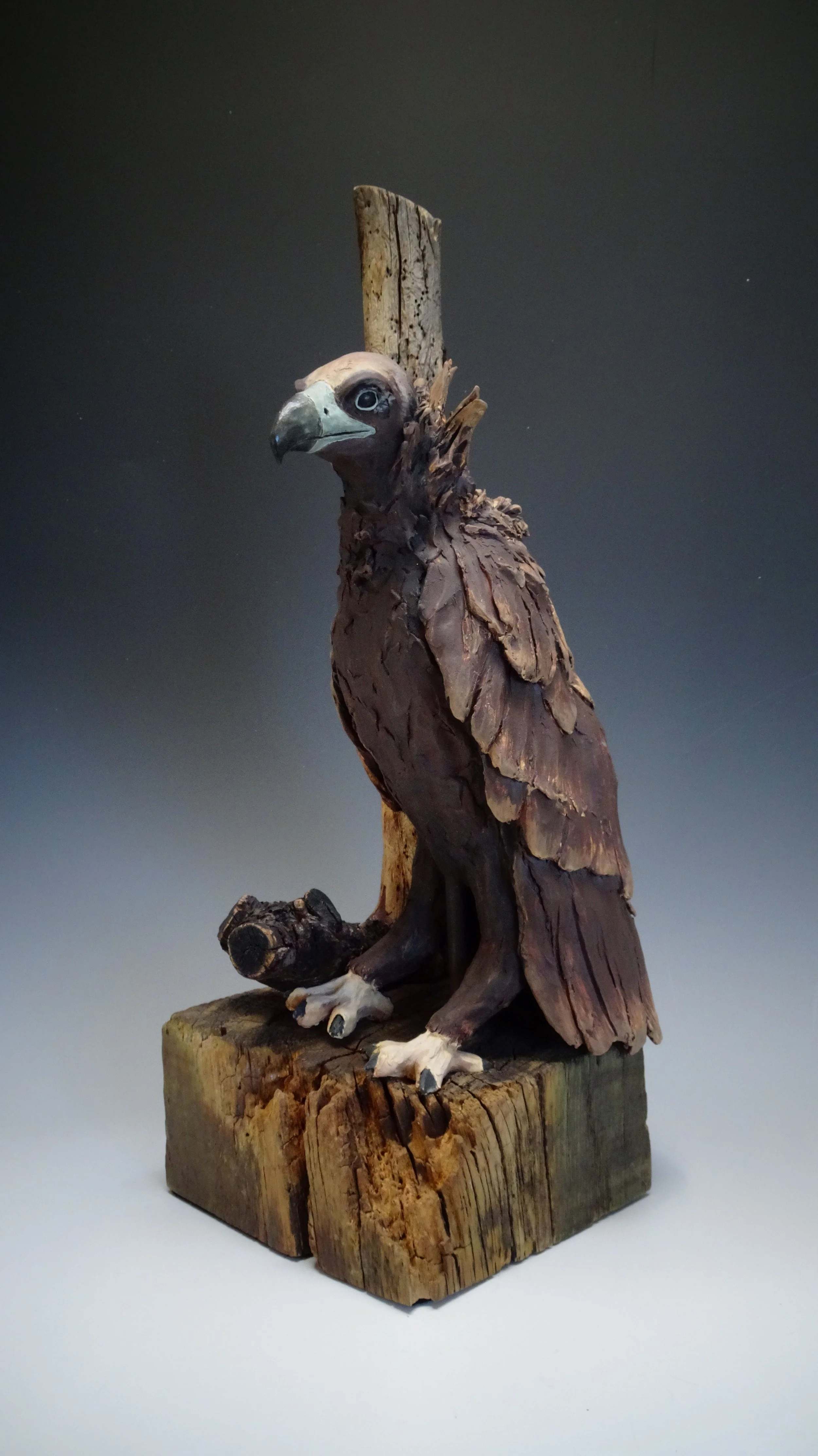 Loveland High Plains Arts Council - 2021 Artists: Lorri Acott