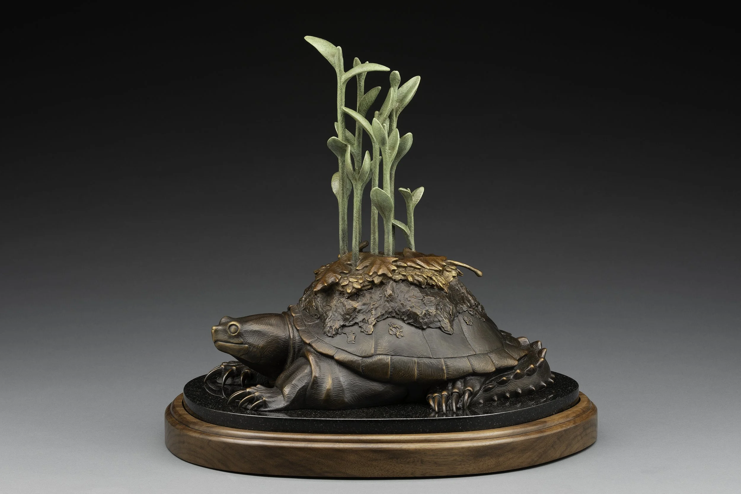 Loveland High Plains Arts Council - 2021 Artists: Lorri Acott