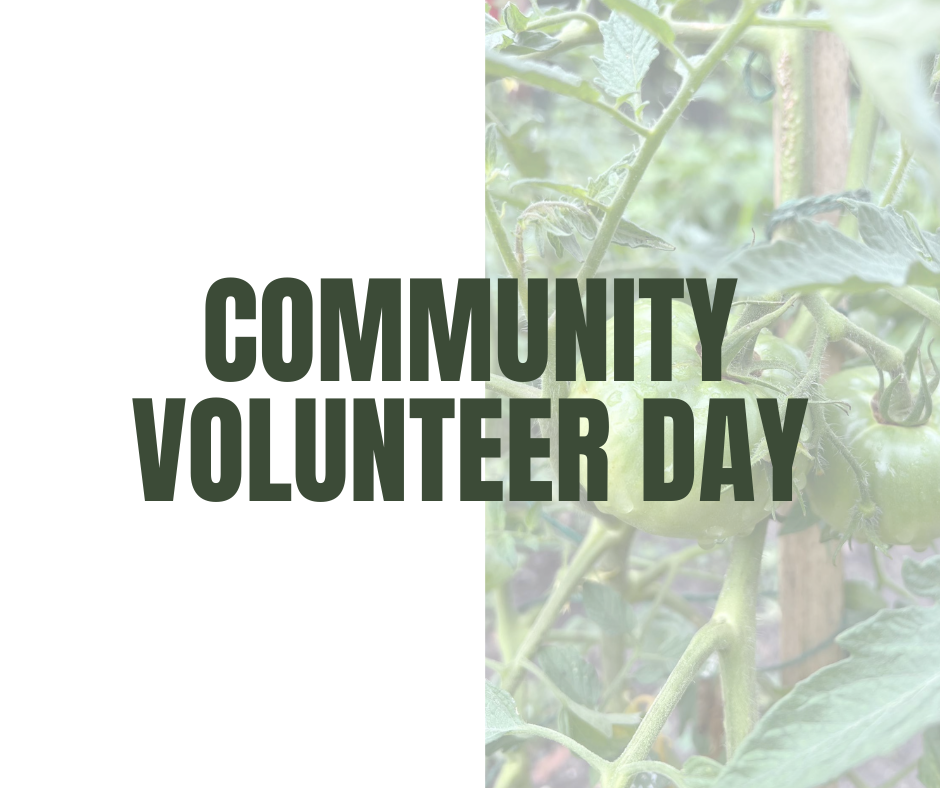 Upcoming Events & Volunteer Opportunities — Keep Statesboro-Bulloch ...