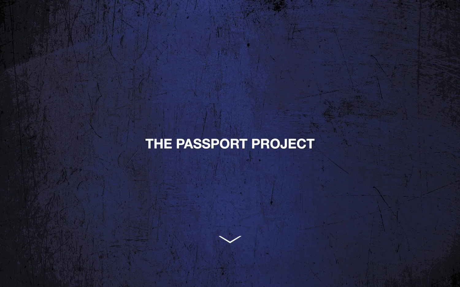 The Passport Project — MICHIKO K SKINNER