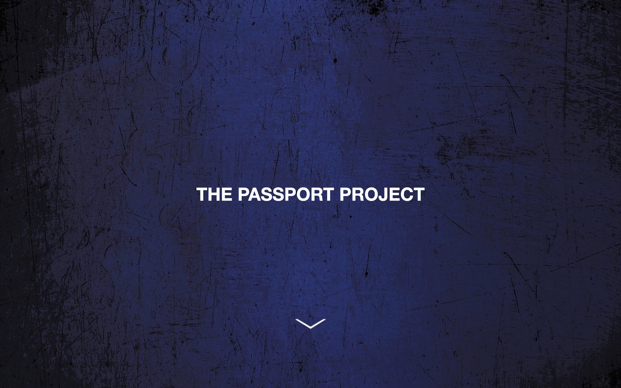 The Passport Project — MICHIKO K SKINNER