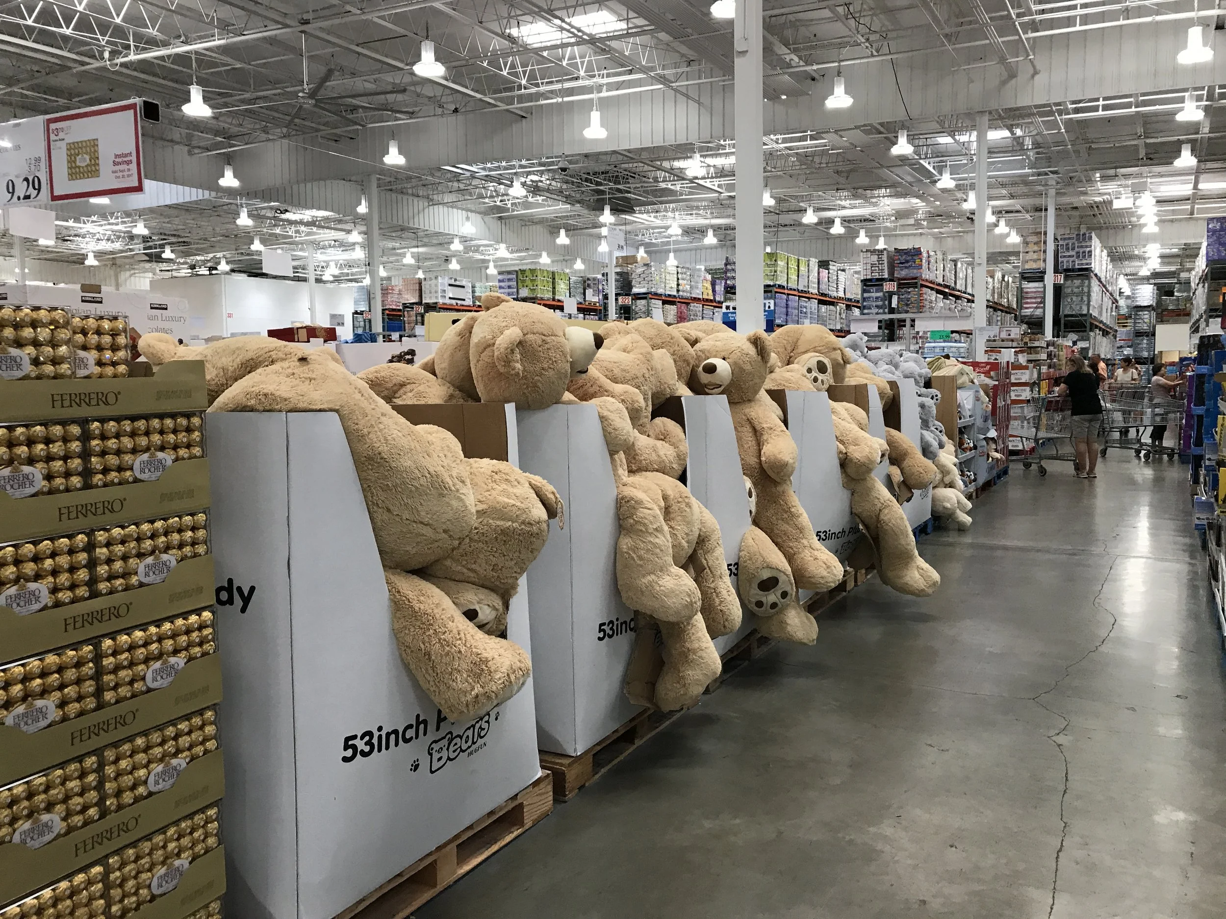 Inside a Costco store - How does it look like? — Ada Insights